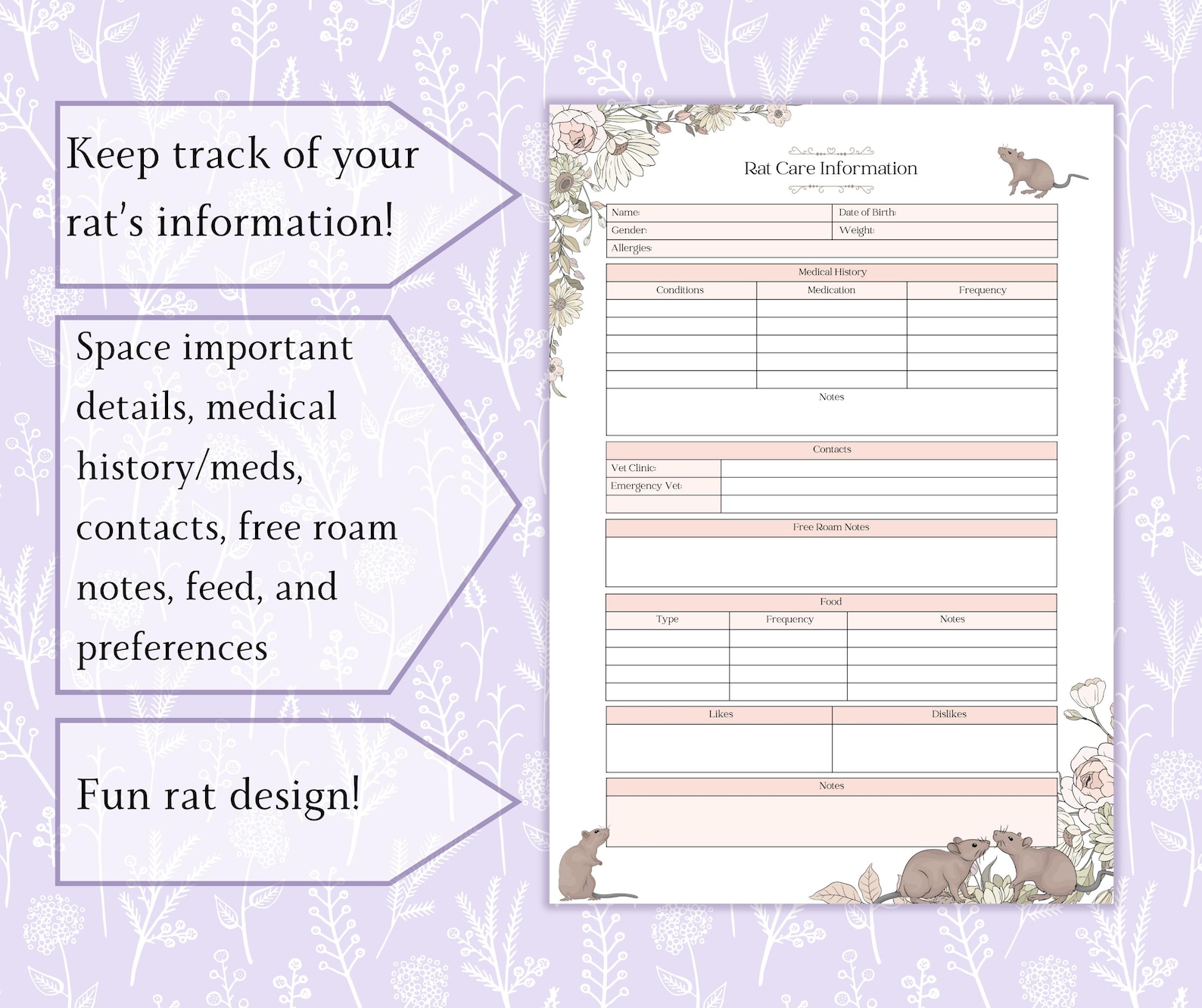 Rat Care Bundle Printable PDF | Rat Care Information | Rat Expense ...