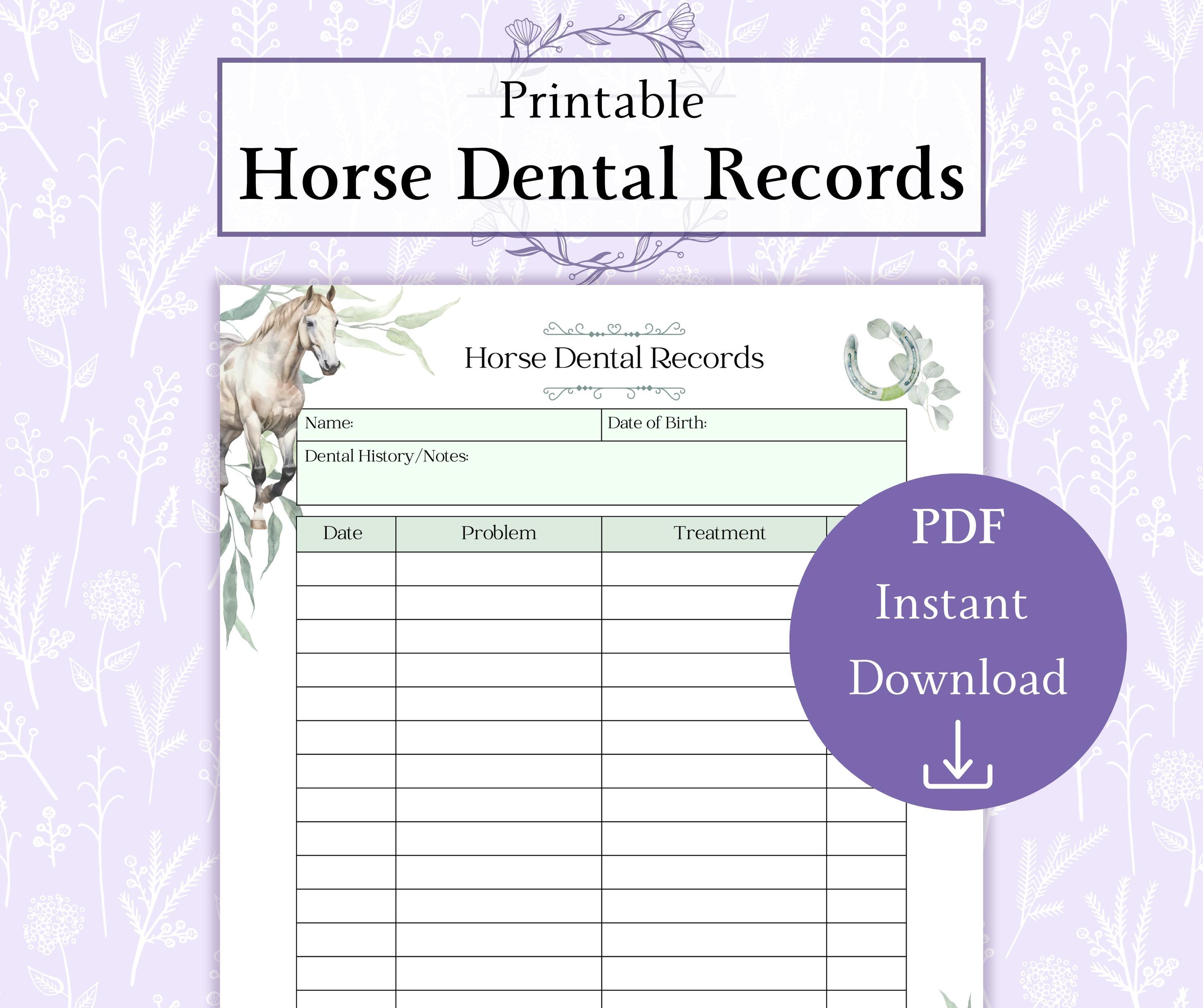 Horse Dental Records Printable PDF | Horse Vet Records | Equine ...