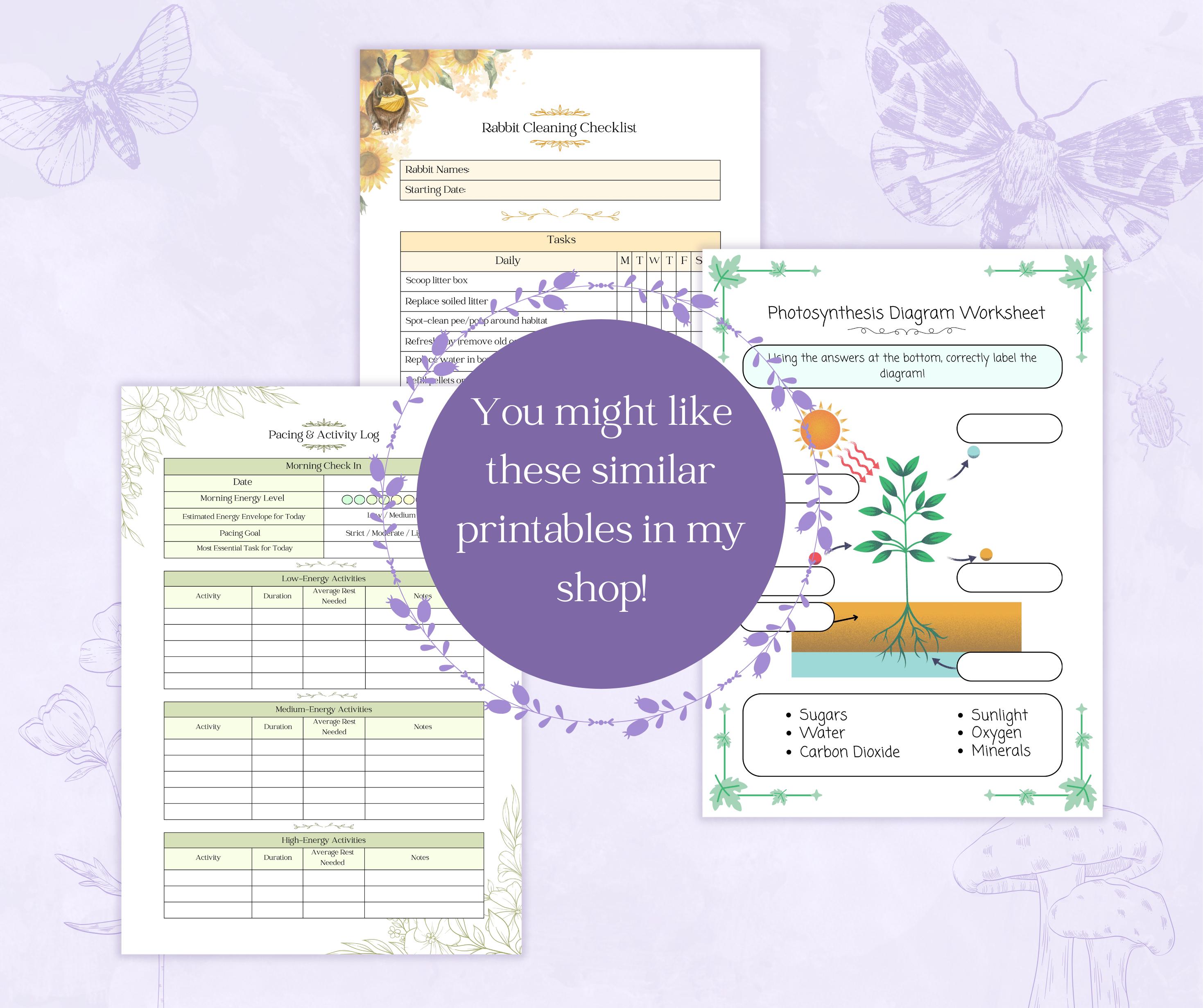Cognitive Function Tracker Printable PDF, Brain Fog Log, CFS ME ...