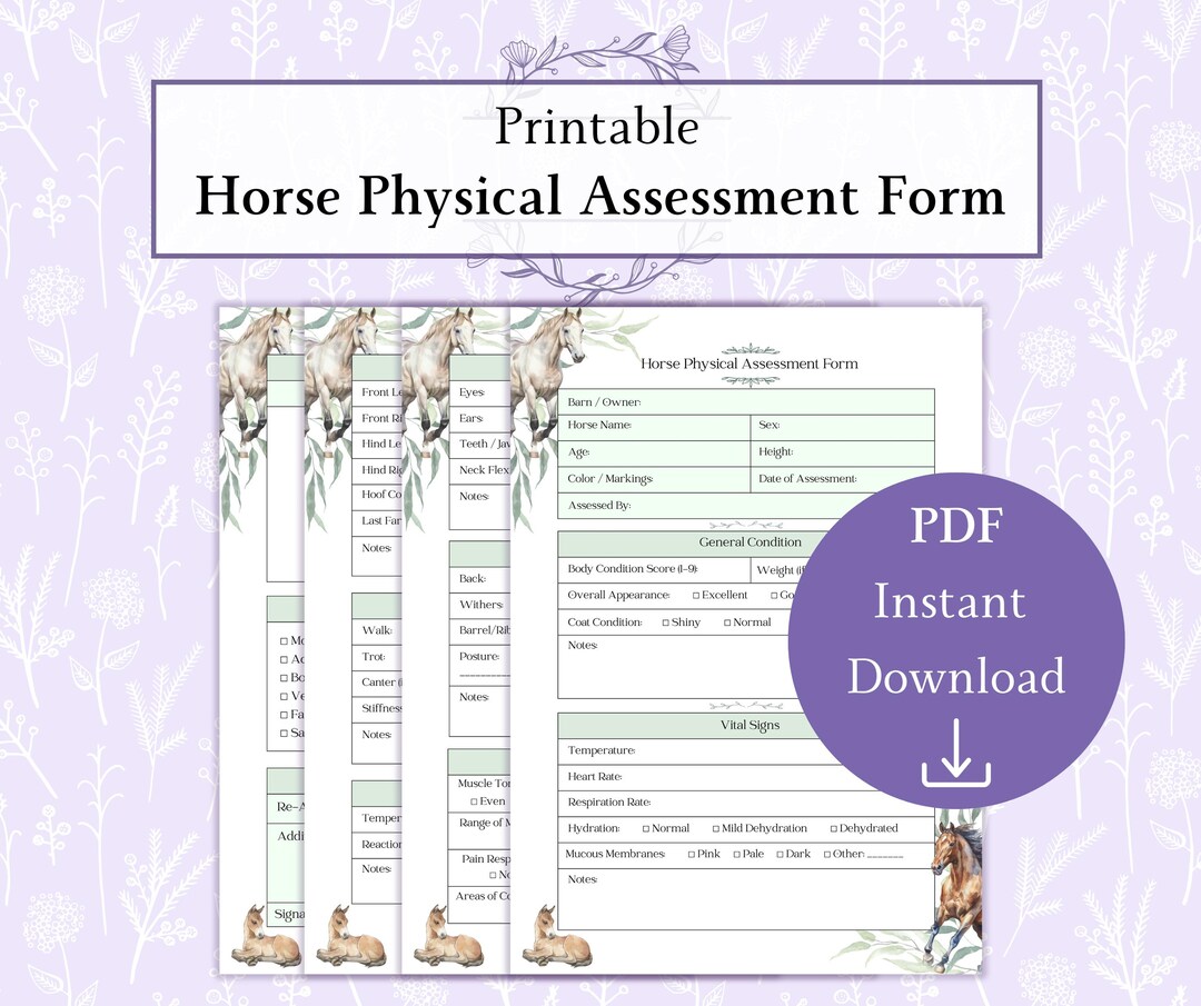 Horse Physical Assessment Form Printable PDF, Equine Health Check ...