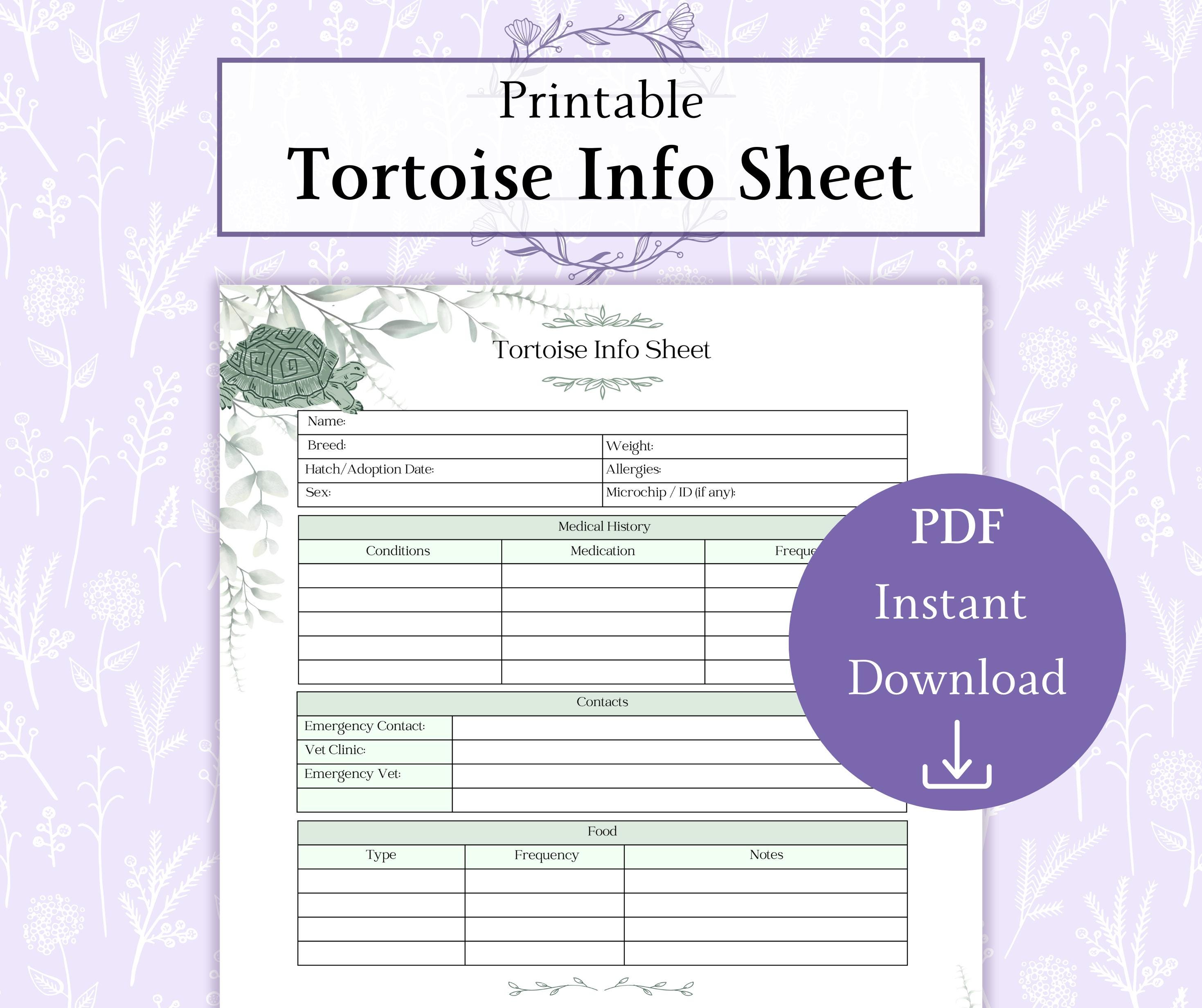 Tortoise Info Sheet Printable PDF | Tortoise Care Sheet | Tortoise ...