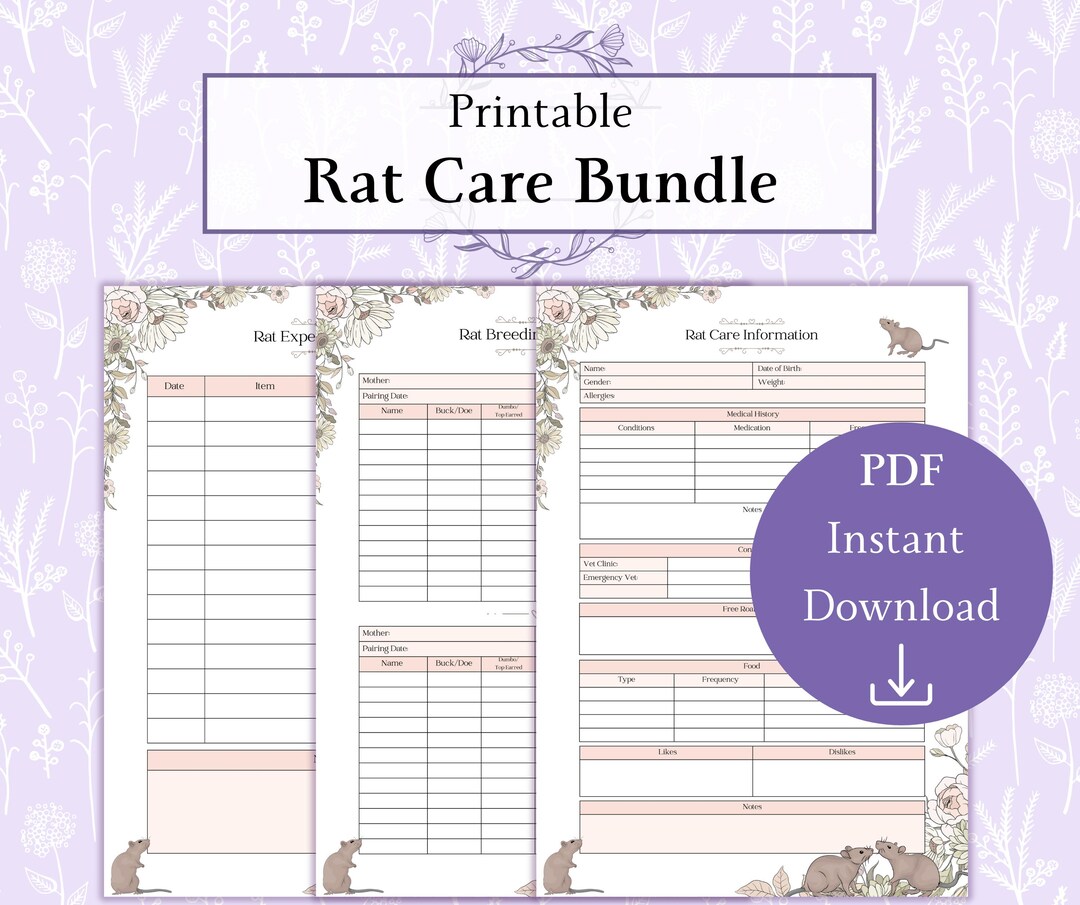 Rat Care Bundle Printable PDF | Rat Care Information | Rat Expense ...