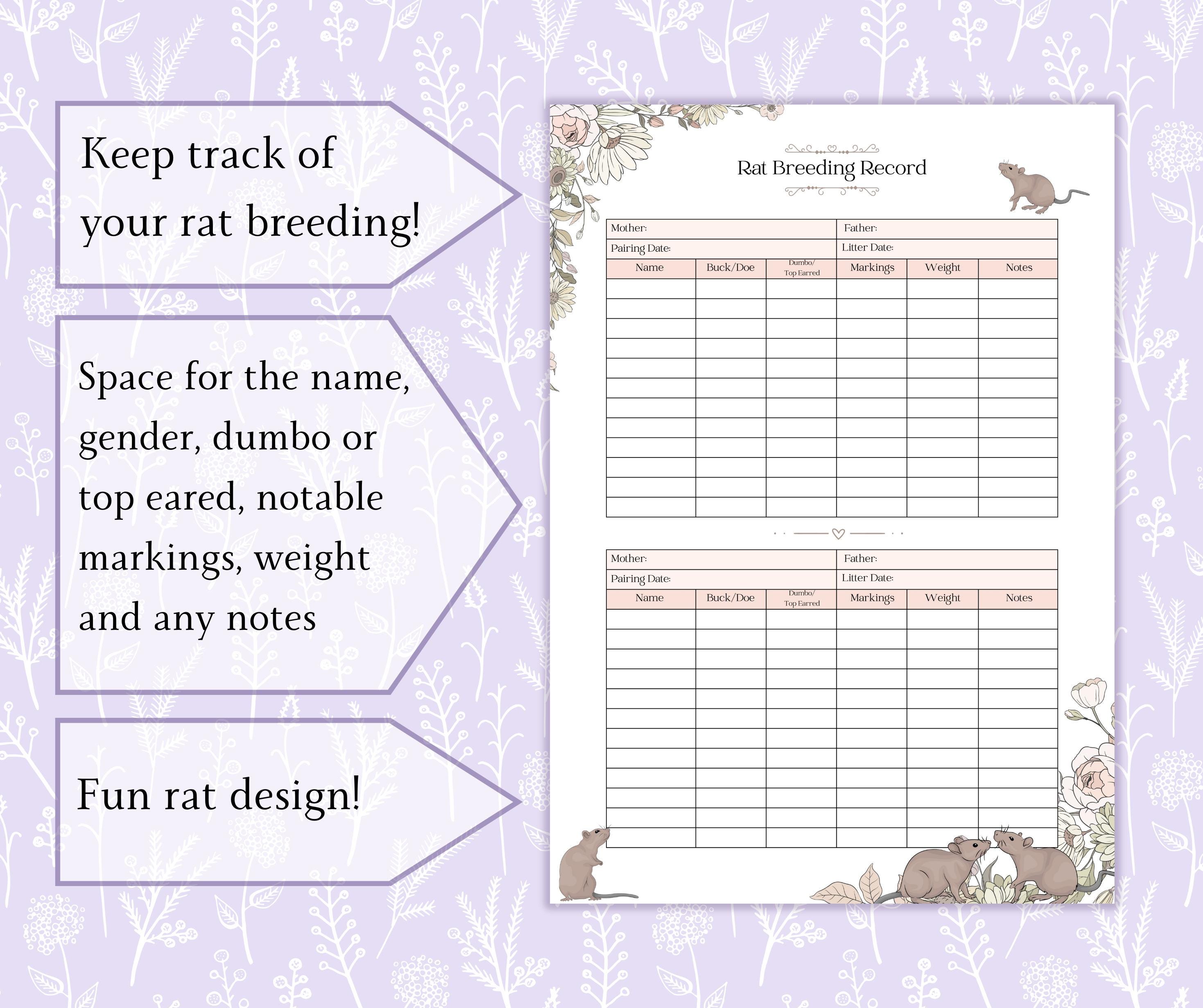 Rat Breeding Record Printable PDF | Rat Breeder Log | Rat Care Log ...