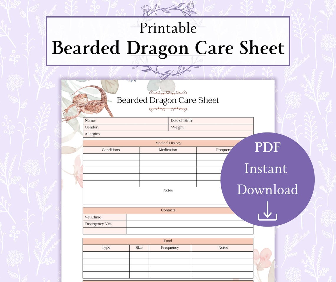 Bearded Dragon Care Sheet Printable PDF | Bearded Dragon Chart | Pet ...