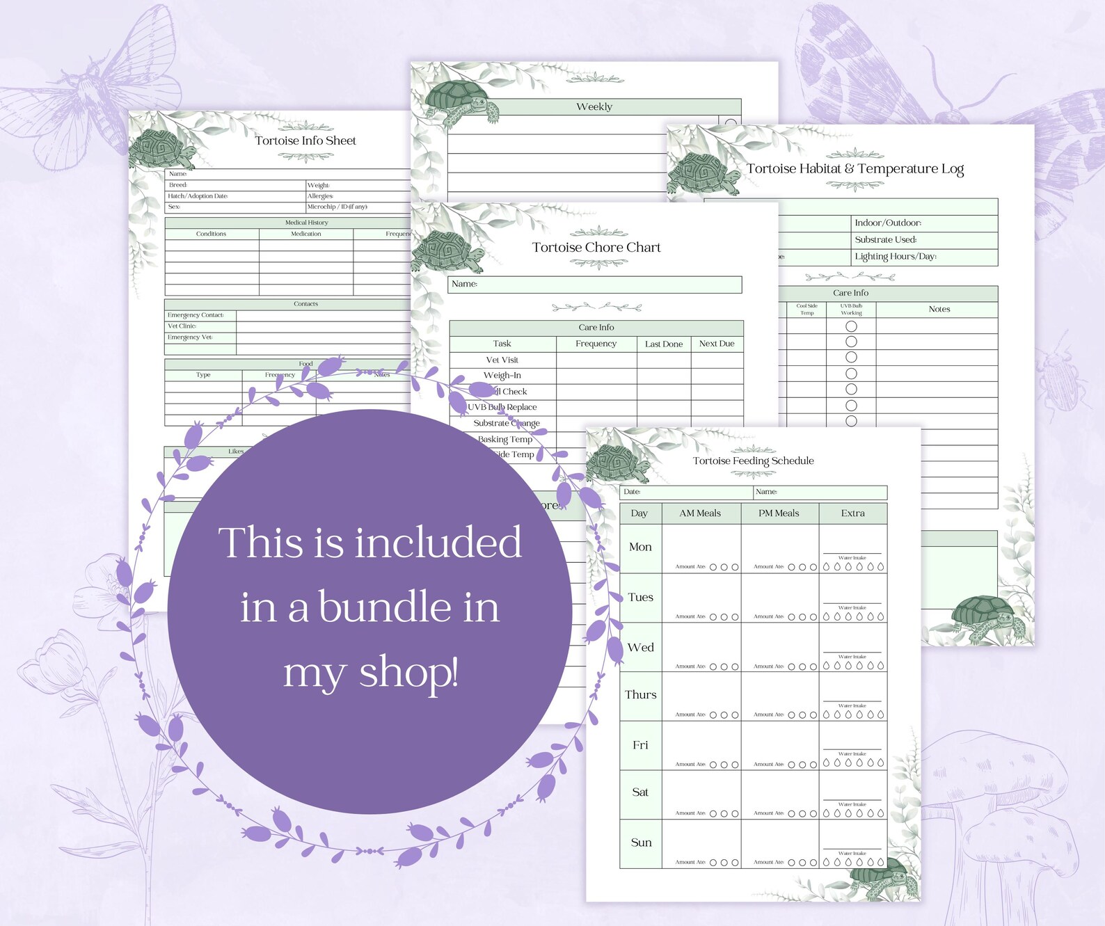 Tortoise Info Sheet Printable PDF | Tortoise Care Sheet | Tortoise ...