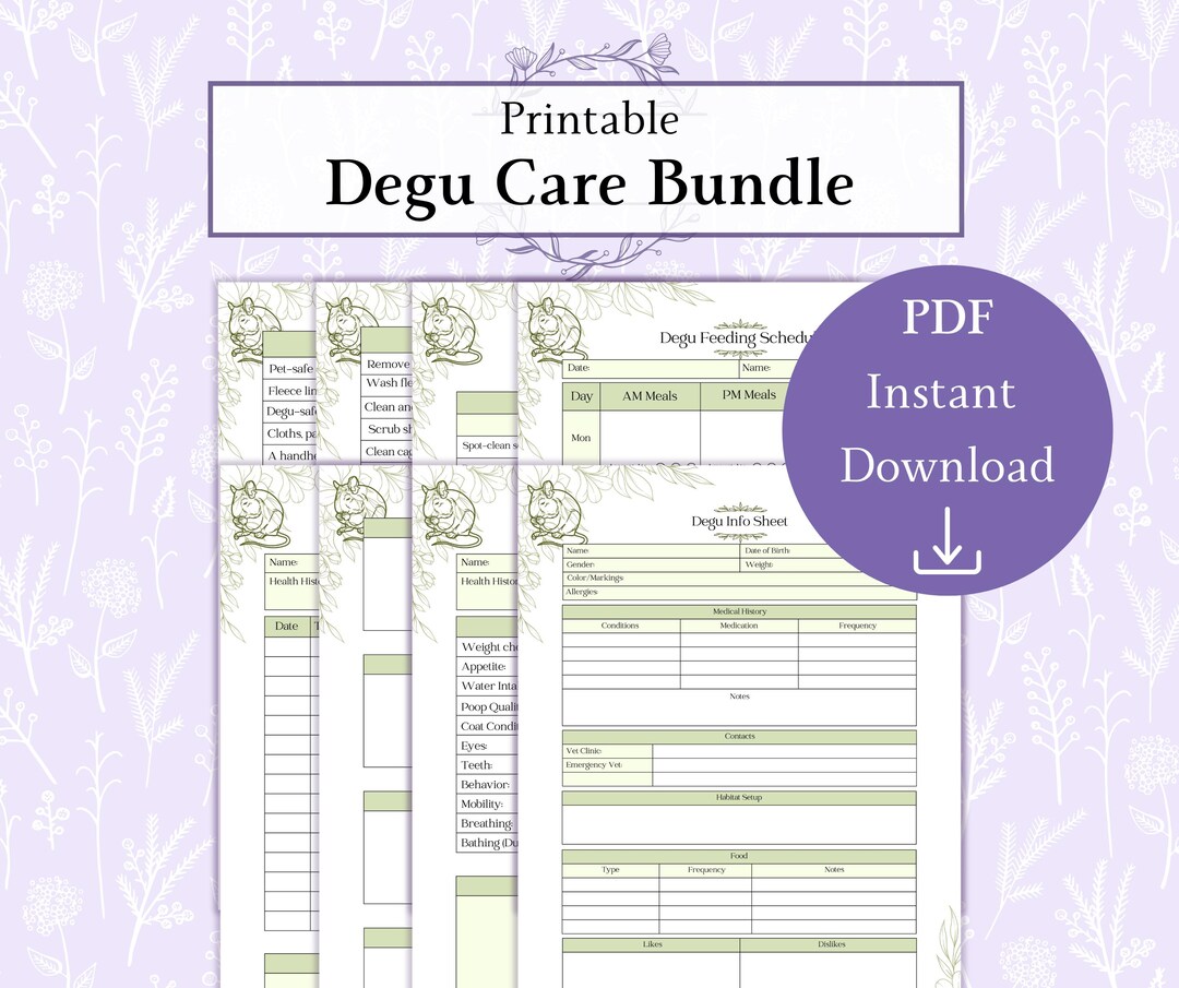 Degu Care Bundle Printable PDF, Degu Care Sheets, Feeding Schedule ...