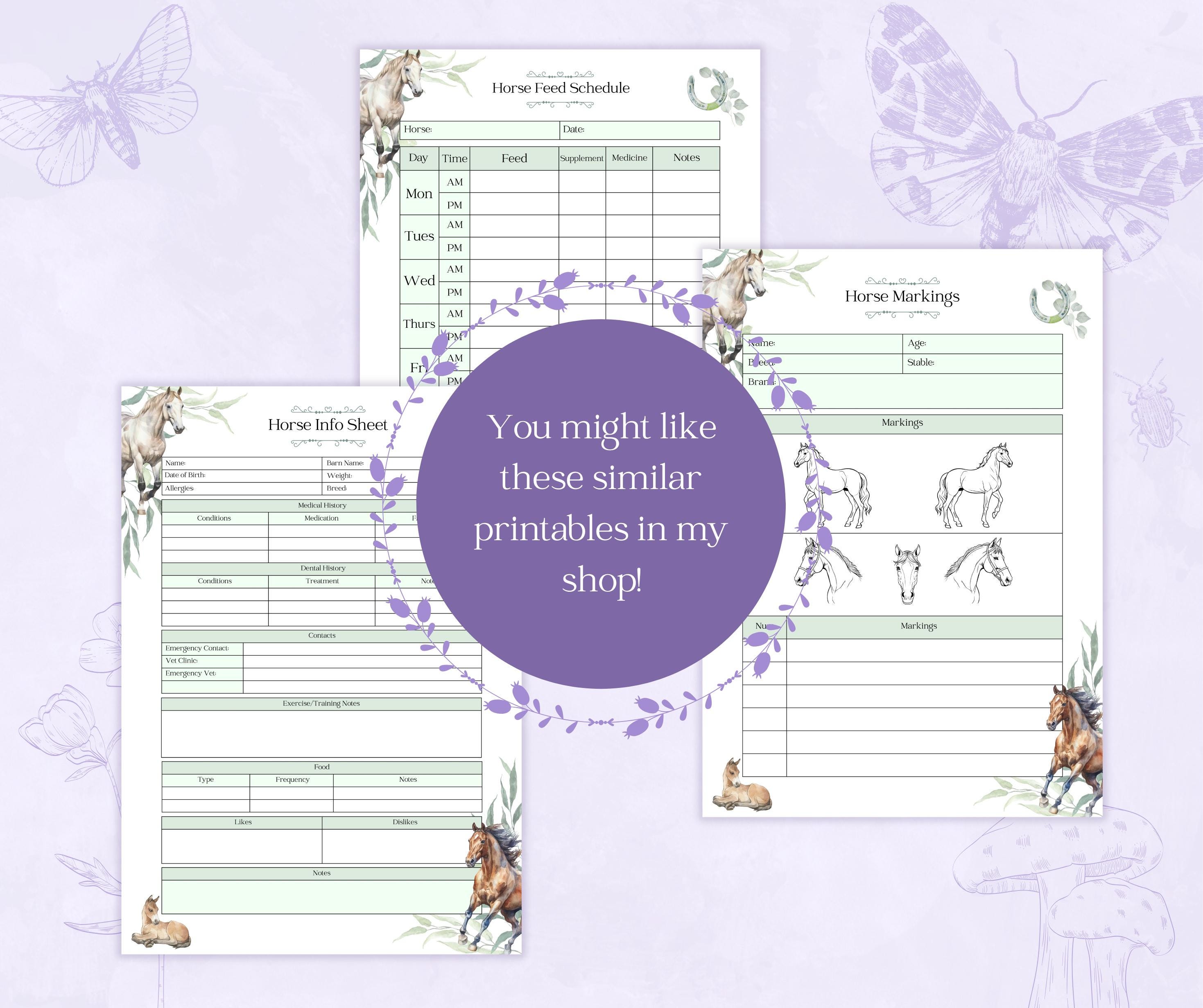 Horse Chore Chart Printable PDF | Equine Chore Chart | Horse Care ...