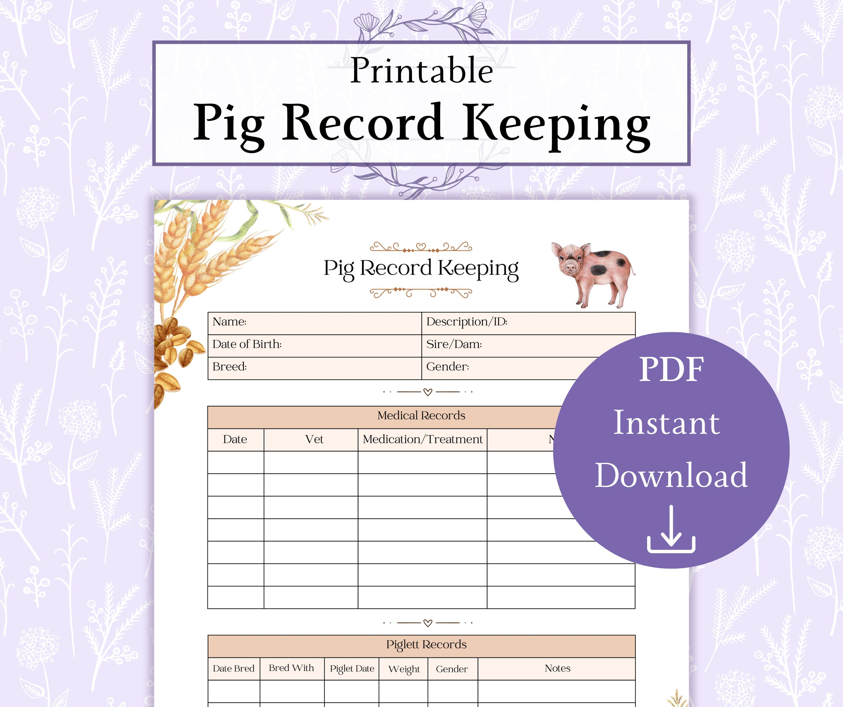 Pig Record Keeping Printable PDF | Pig Chart | Pig Management ...