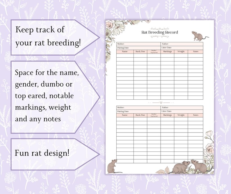 Rat Care Bundle Printable PDF | Rat Care Information | Rat Expense ...