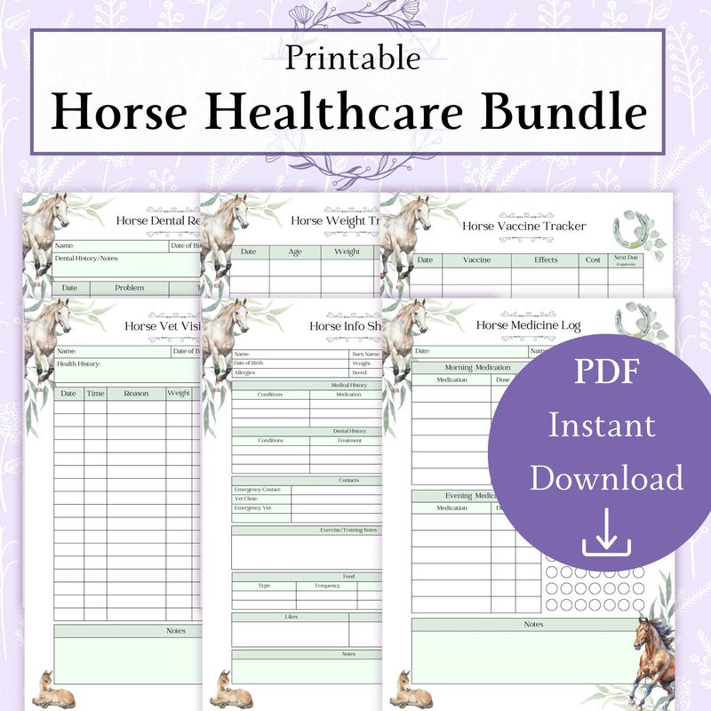 Horse Care Book - Etsy UK