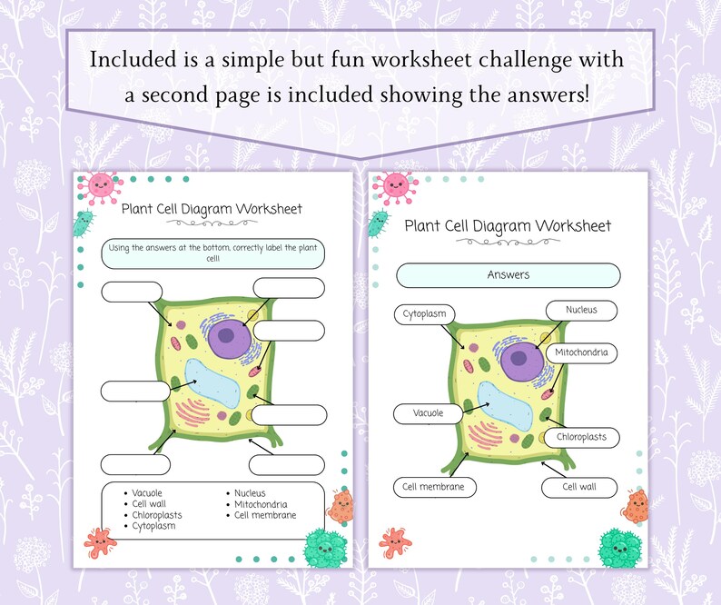 Plant & Animal Cell Diagram Bundle Printable PDF, Cell Labeling ...