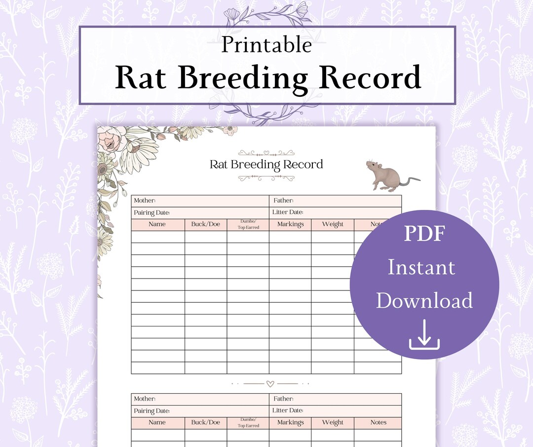 Rat Breeding Record Printable PDF | Rat Breeder Log | Rat Care Log ...