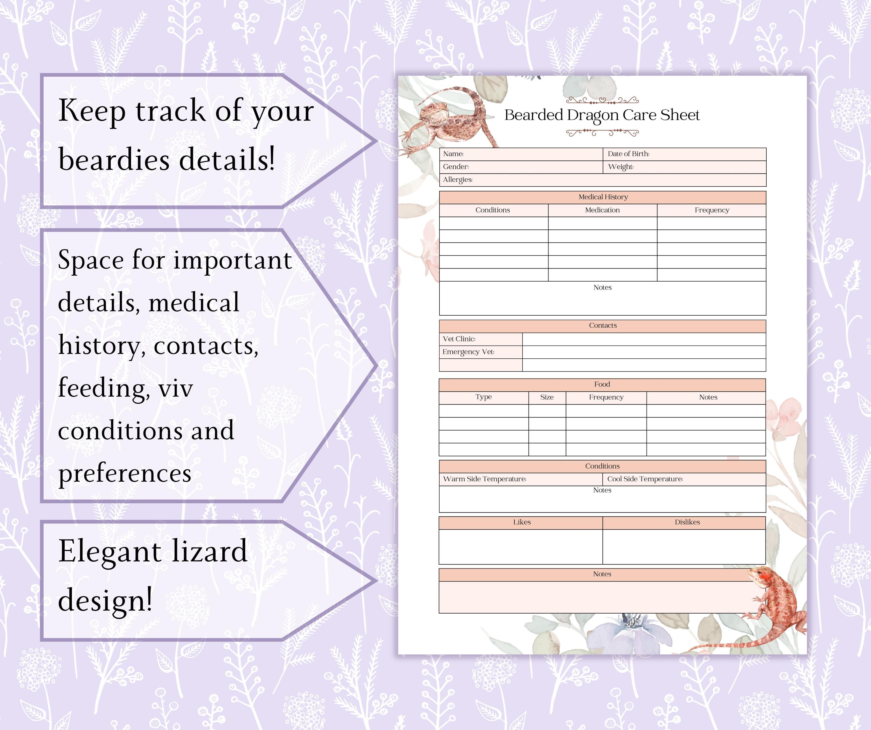 Bearded Dragon Chart Bundle Printable PDF | Bearded Dragon Care Sheet ...