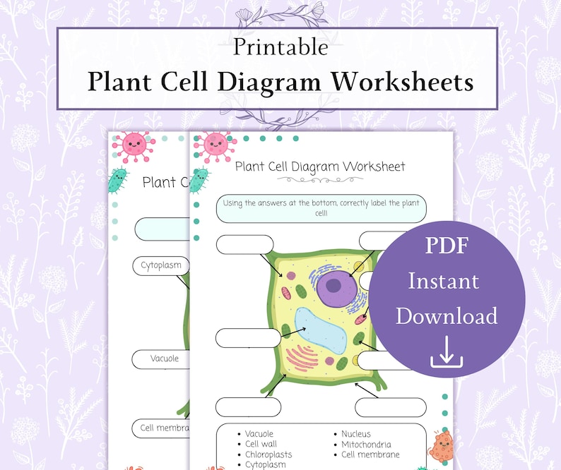Plant Cell Diagram Printable PDF, Parts of a Plant Cell Labeling ...