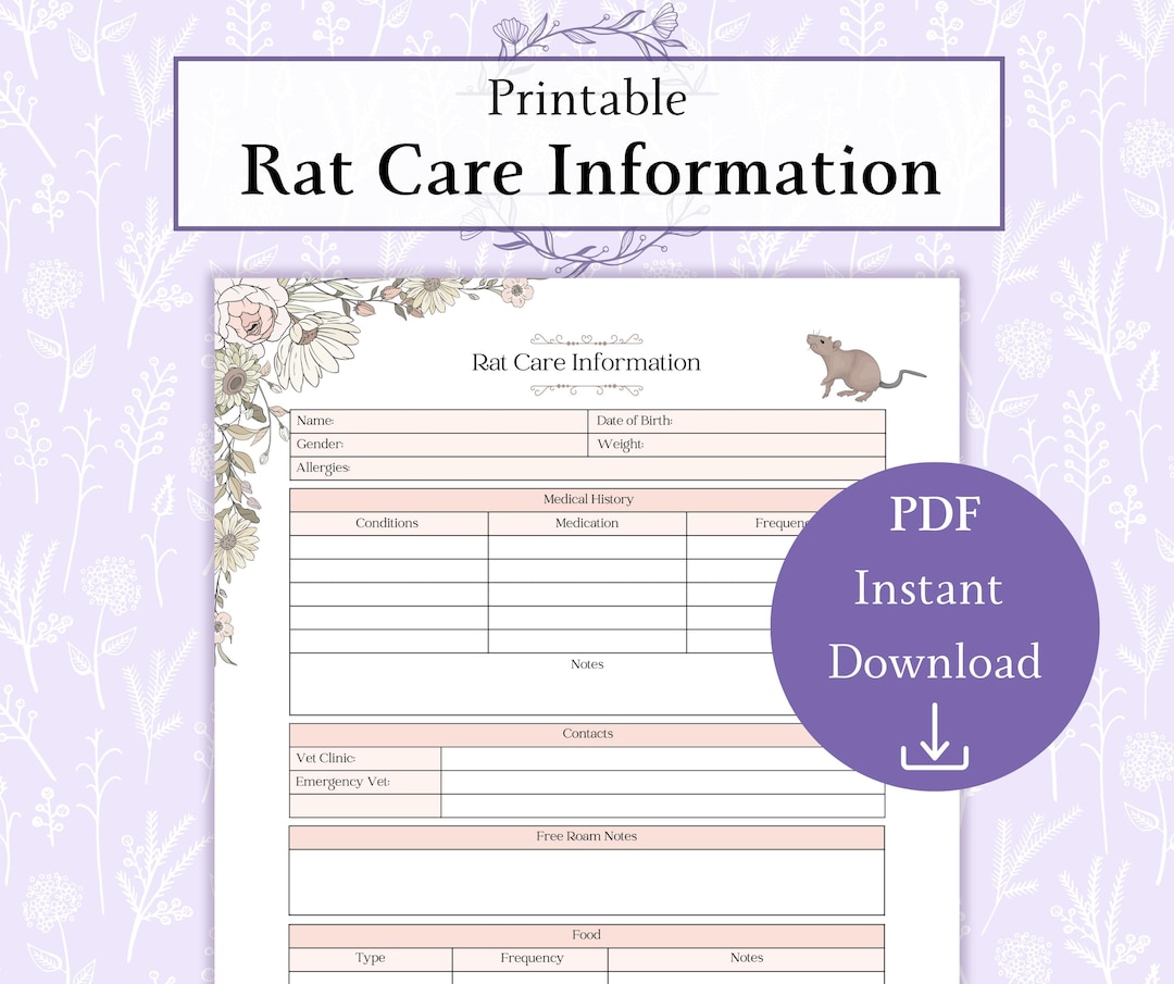 Rat Care Information Printable PDF | Rat Care Report | Rat Care Details ...