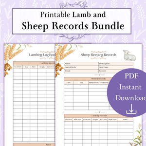 Lamb and Sheep Records Bundle PDF | Sheep Keeping Records | Lambing Log ...