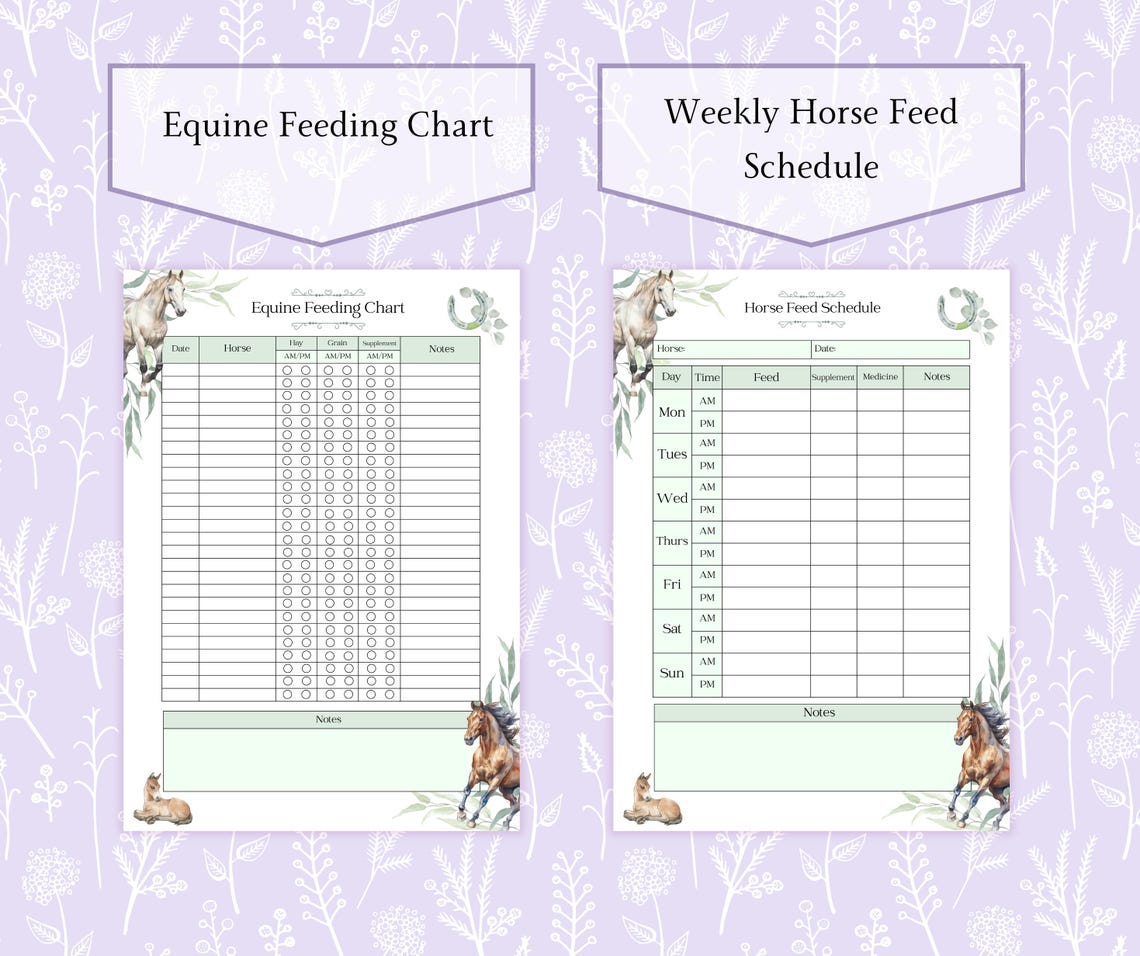 Horse Feeding Chart Bundle Printable PDF | Equine Feeding Chart | Horse ...