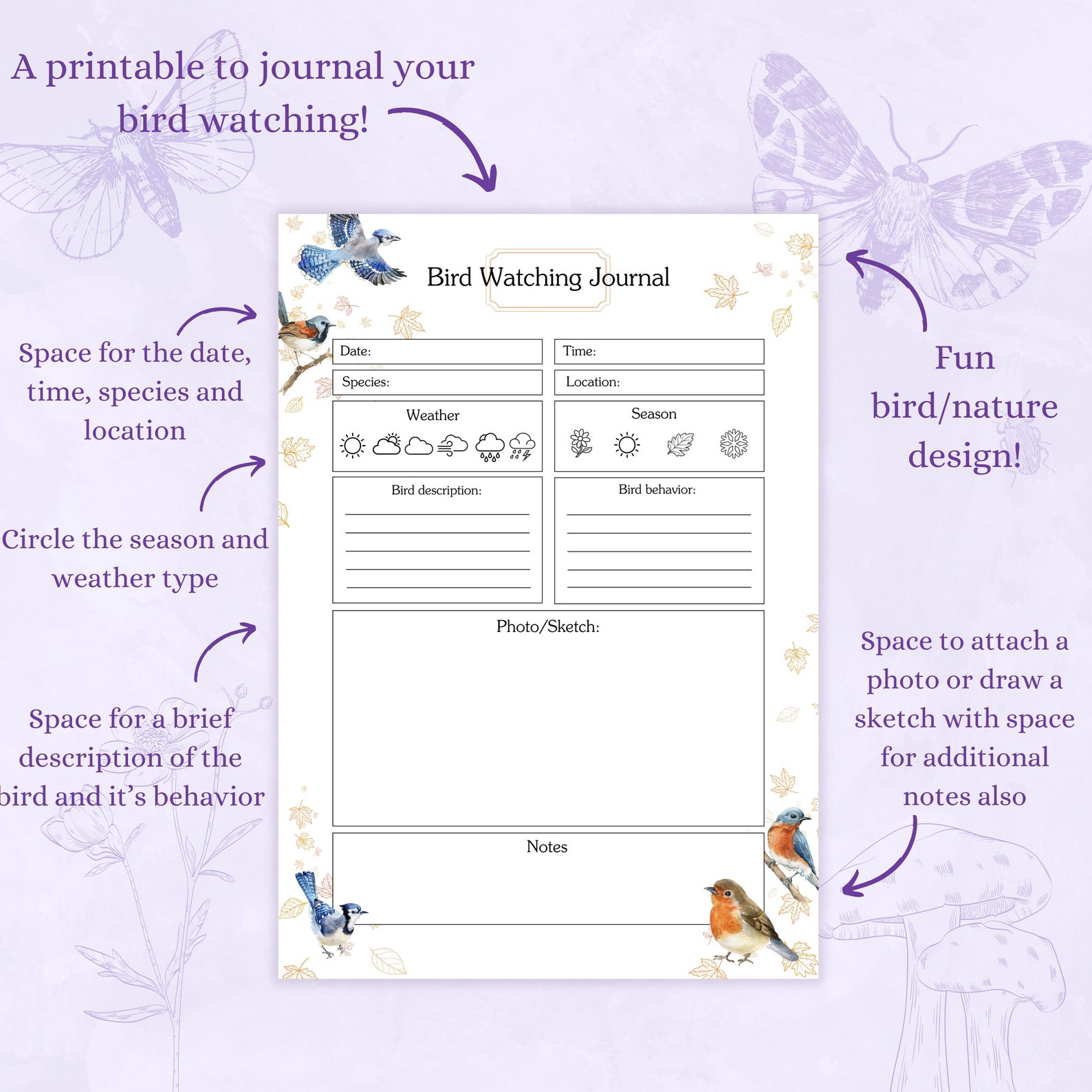 Bird Watching Journal Bundle Printable PDF | Bird Nerd | Bird Diary ...