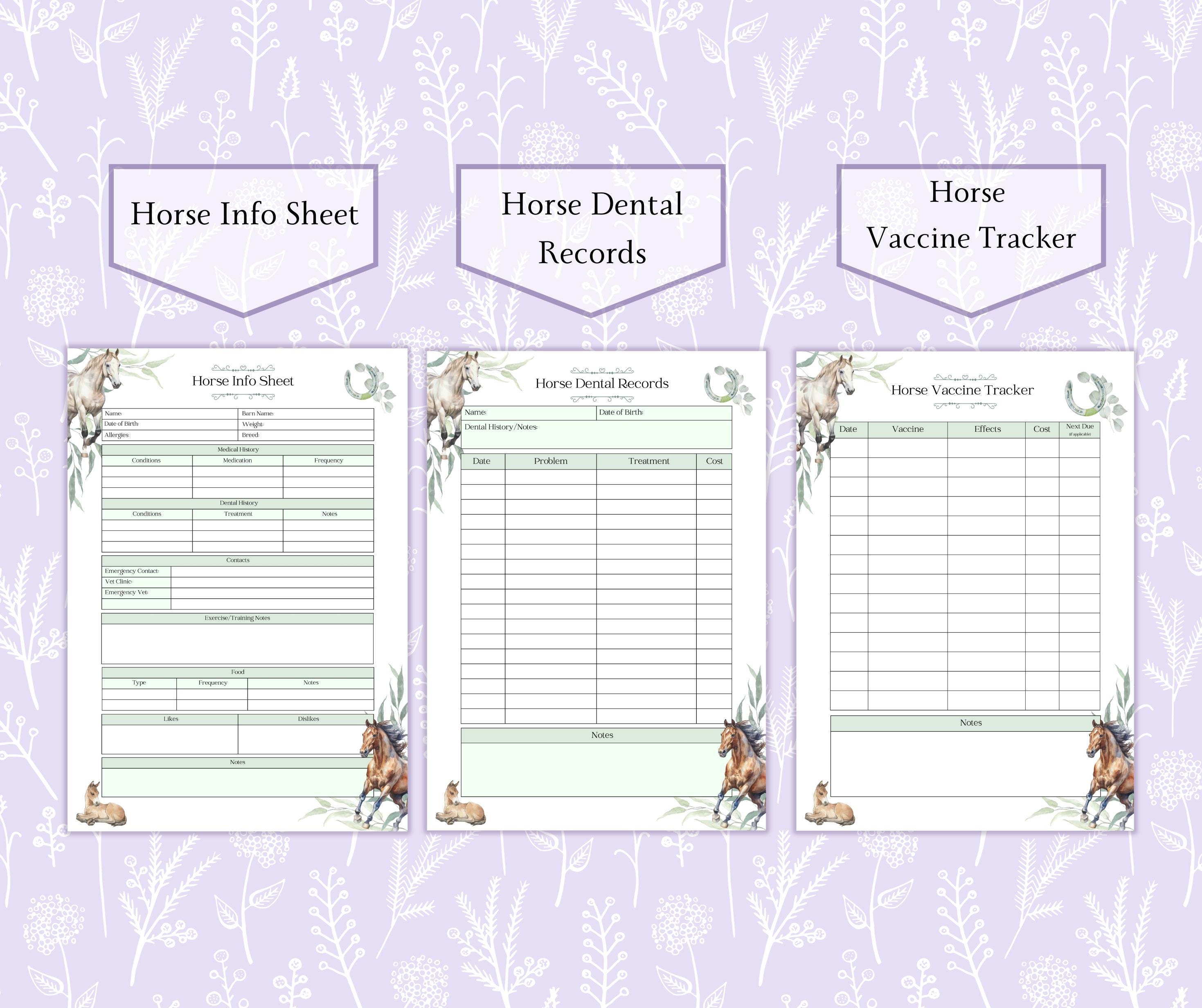 Horse Healthcare Bundle Printable PDF | Horse Info Sheet | Horse Care ...