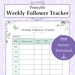 Weekly Follower Tracker Printable PDF | Subscriber Tracker | Social ...