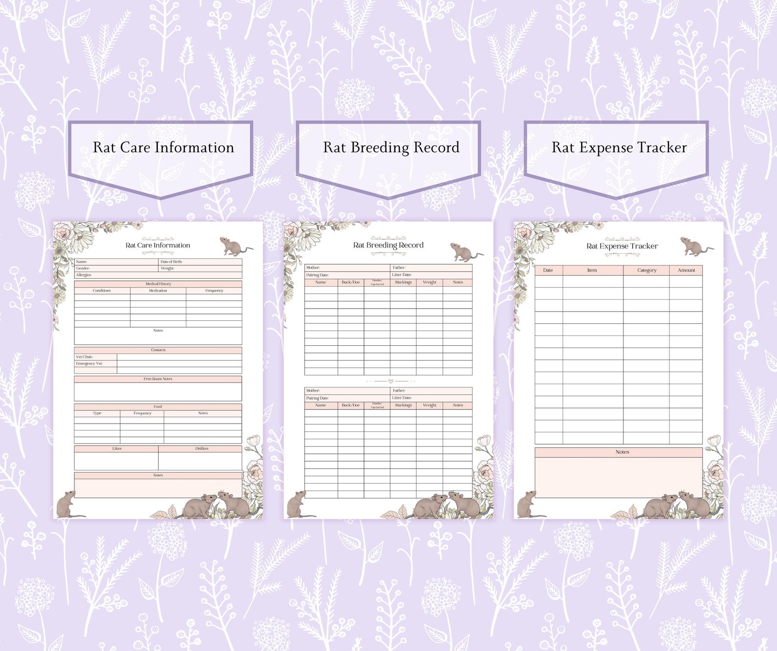 Rat Care Bundle Printable PDF | Rat Care Information | Rat Expense ...