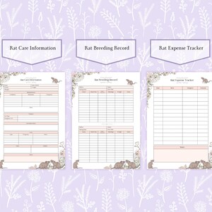 Rat Care Bundle Printable PDF | Rat Care Information | Rat Expense ...