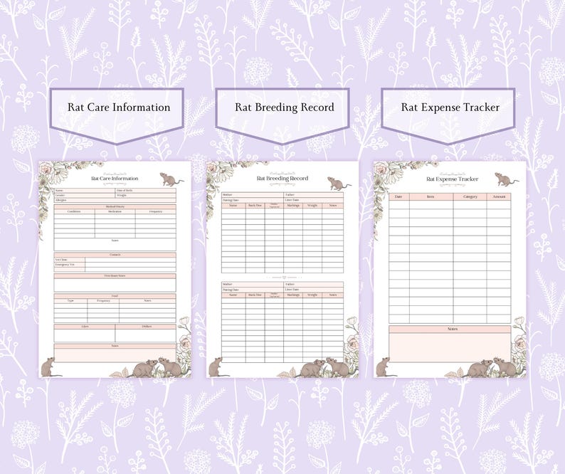 Rat Care Bundle Printable PDF | Rat Care Information | Rat Expense ...