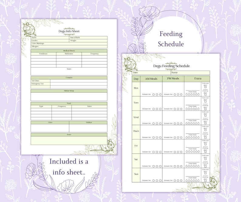 Degu Care Bundle Printable PDF, Degu Care Sheets, Feeding Schedule ...