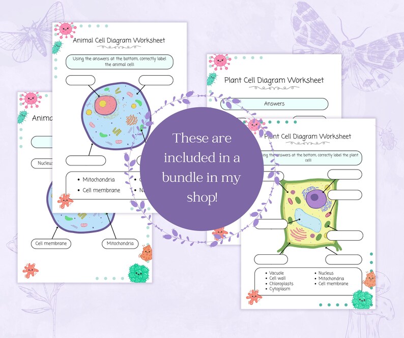 Animal Cell Diagram Printable PDF, Parts of an Animal Cell Labeling ...