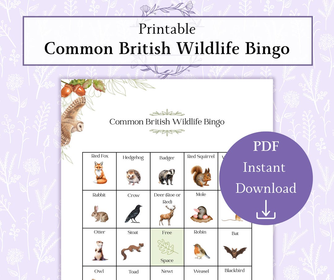 British Wildlife Bingo Game Printable PDF, UK Animal Spotting, Nature ...