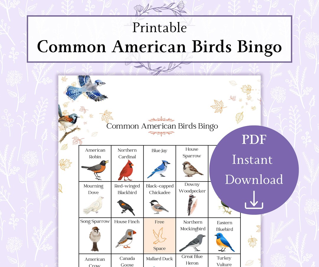 American Birdwatching Bingo Game Printable PDF, USA Backyard Bird ...