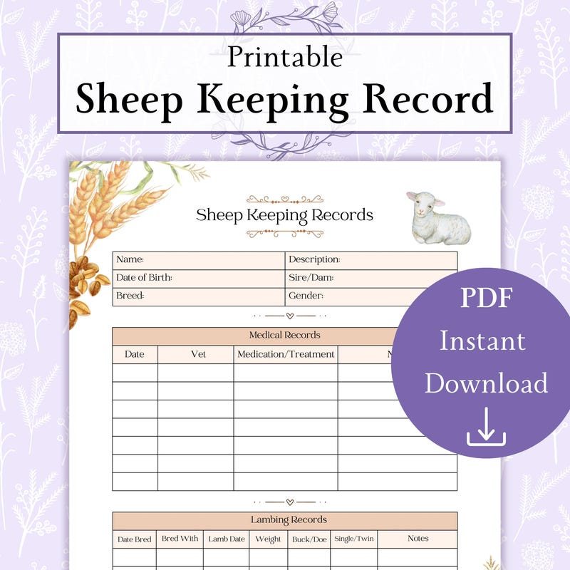 Record Sheep Book - Etsy