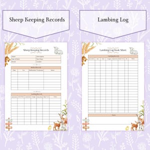 Lamb and Sheep Records Bundle PDF | Sheep Keeping Records | Lambing Log ...