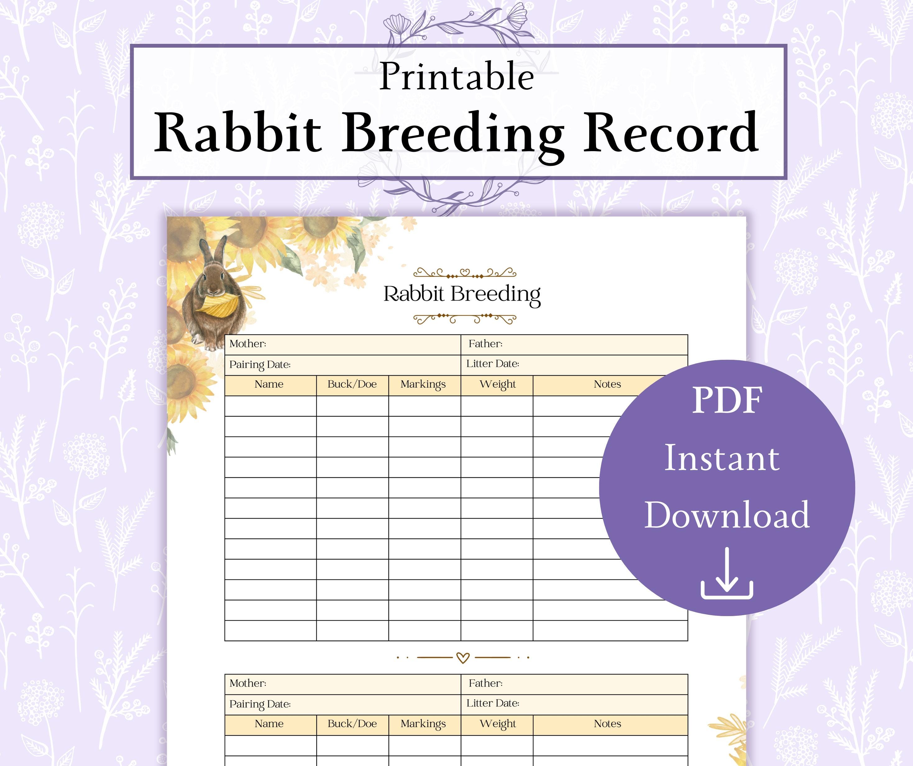 Rabbit Breeding Record Printable PDF | Rabbitry Log | Homestead Rabbits ...