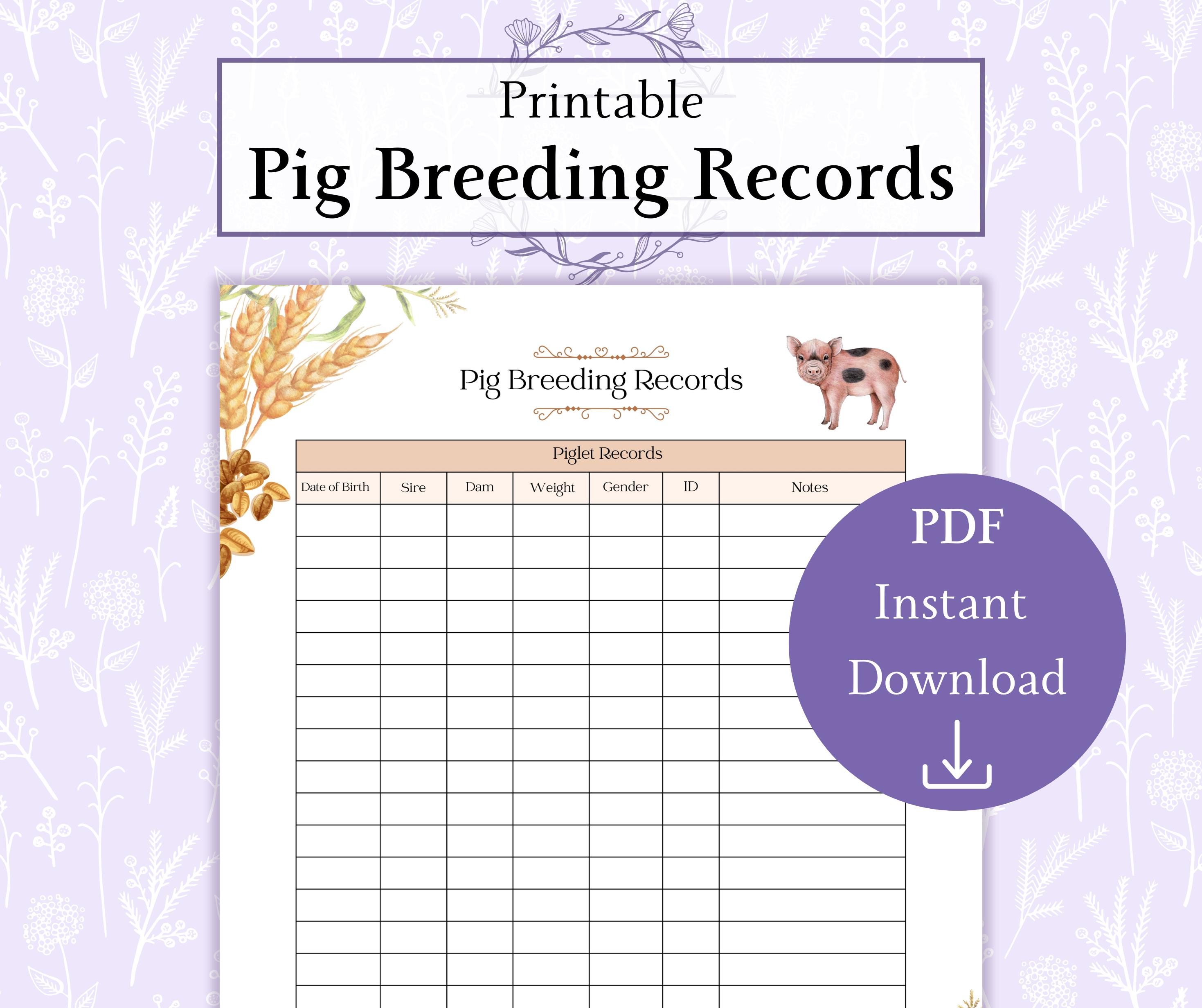 Pig Breeding Records Printable PDF | Pig Record Keeping | Pig Chart ...