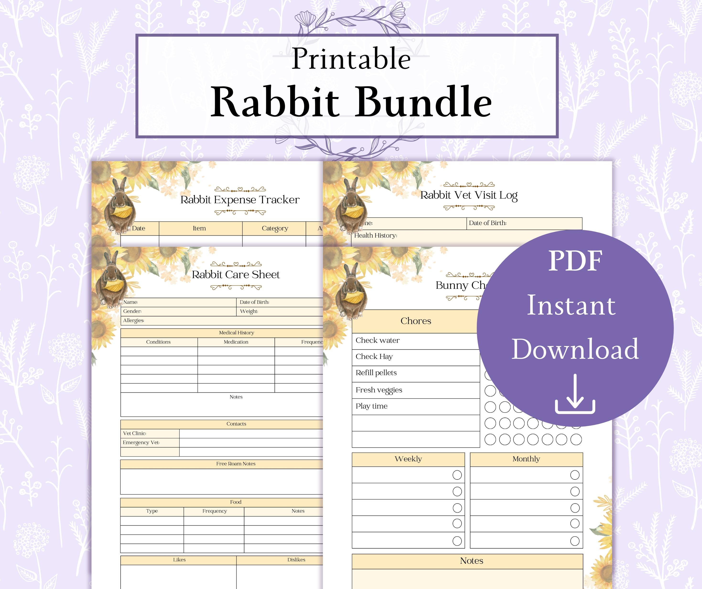Rabbit Record Keeping Bundle Printable PDF | Rabbit Care Sheet | Bunny ...