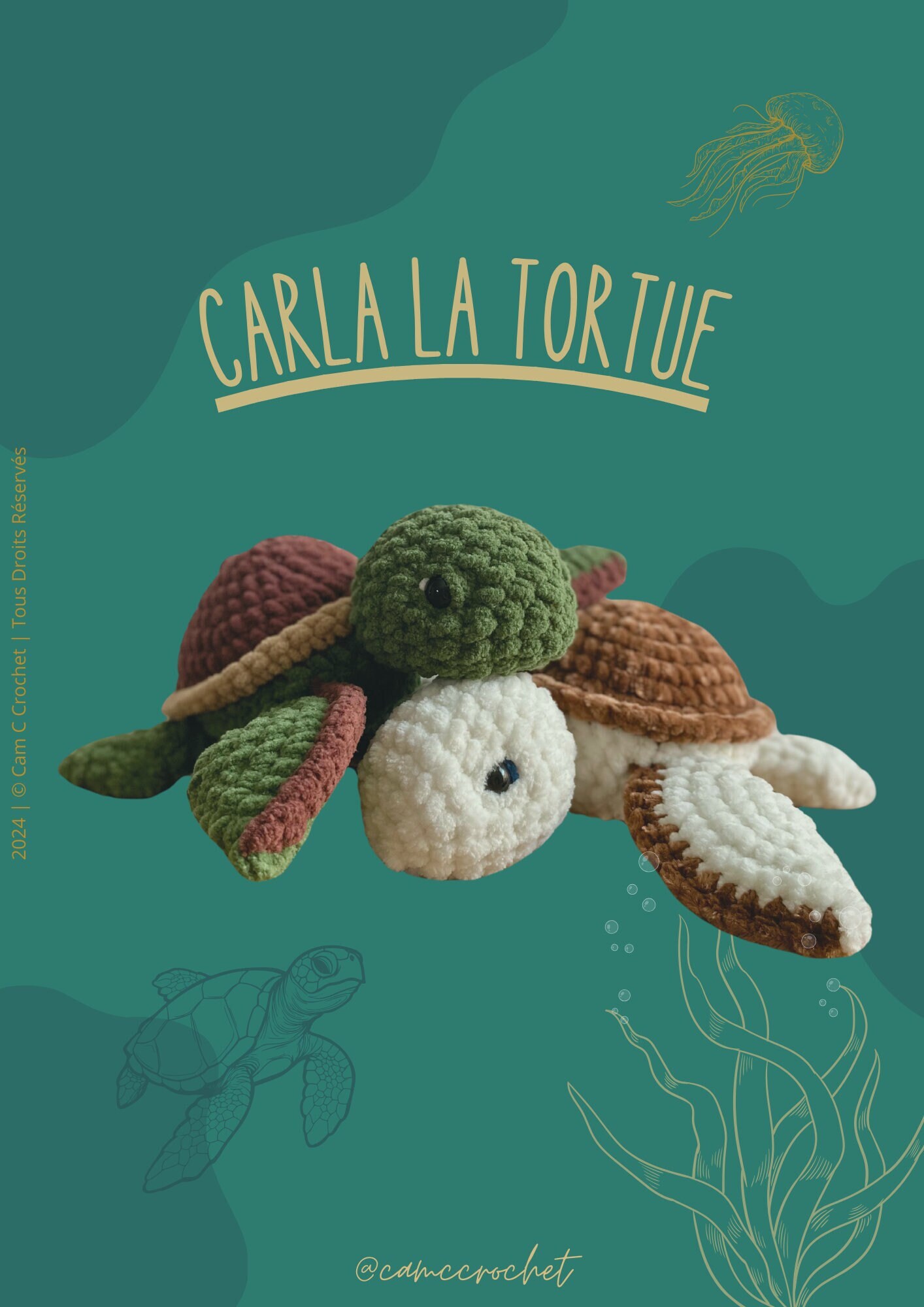 Carla the Boss Turtle FRENCH - Etsy