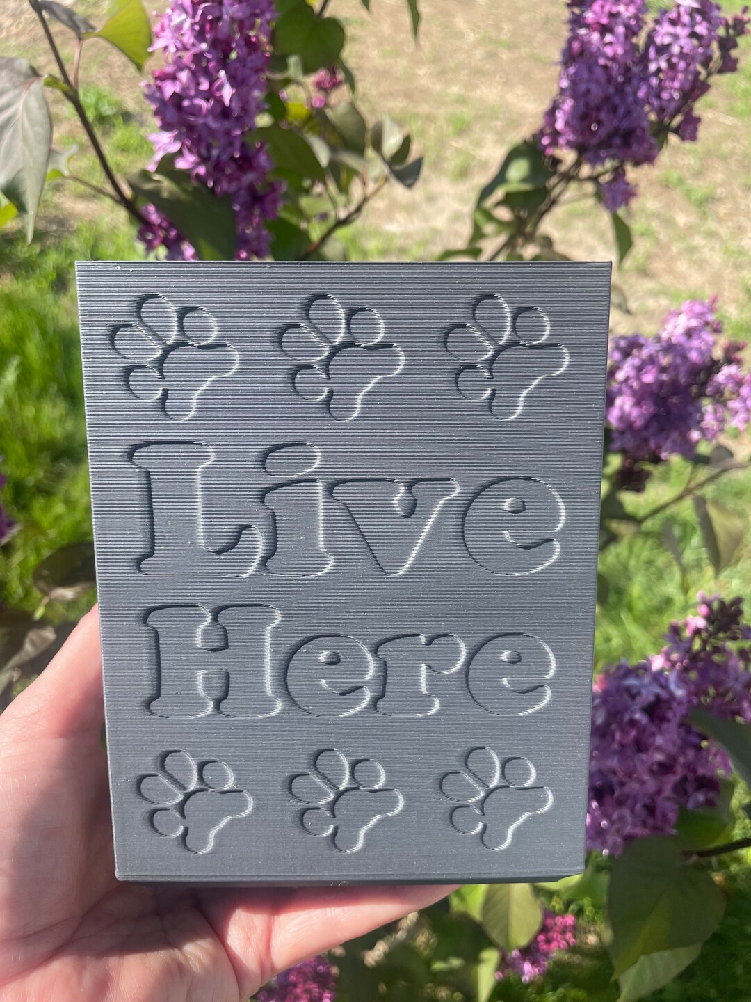 Dog Planter With Paw Prints on All Sides, Dog Planter for Medium Plants ...