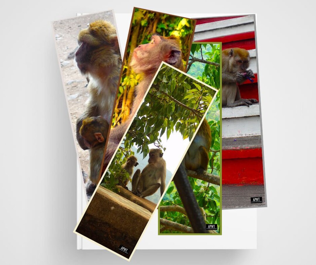 Monkey Themed Printable Bookmarks Printable Animal Bookmark Set Three 5 ...