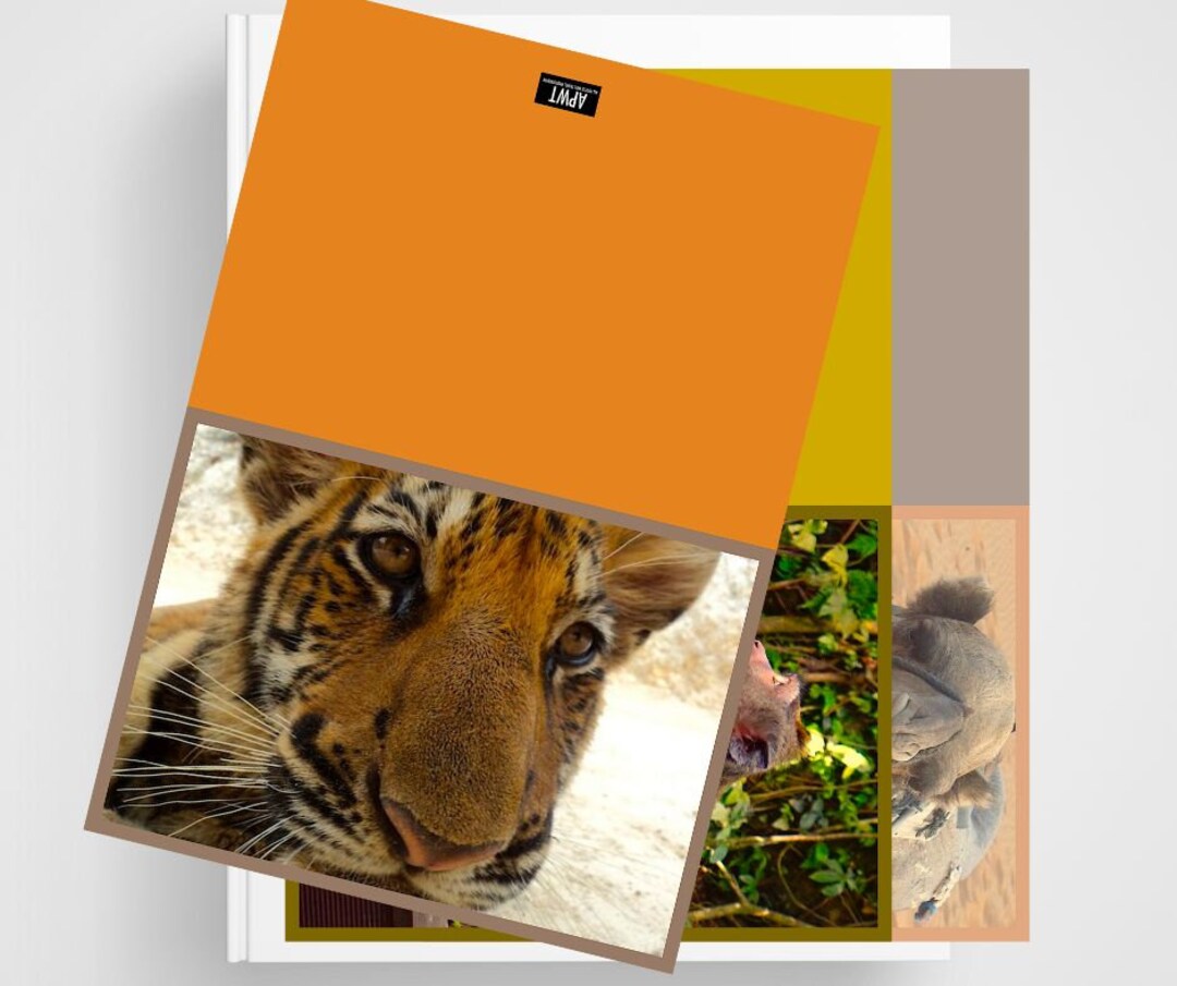 Animal Themed Assorted Printable Card Set Printable Animal Card Set One ...