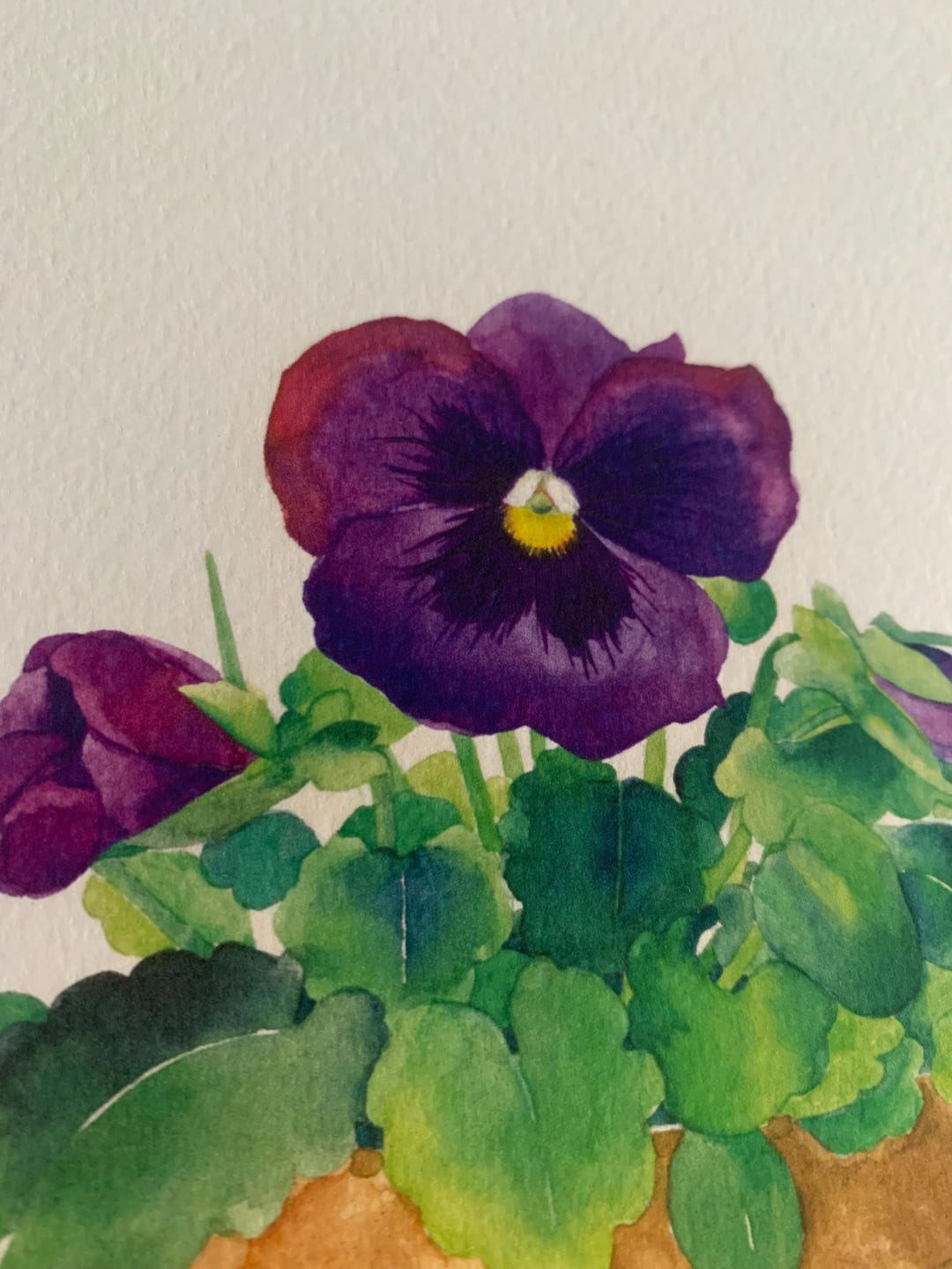 A4 Original Digital Print of Watercolour Purple Pansey Signed - Etsy