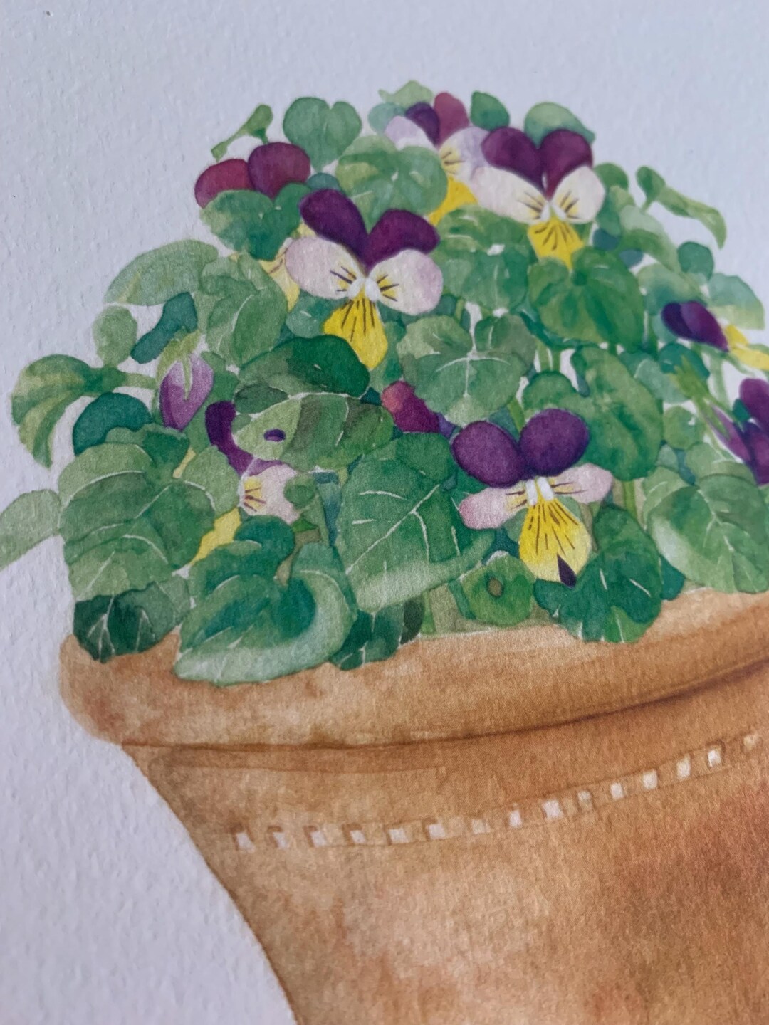 A4 Original Digital Print of Watercolour Purple & Yellow Violets Signed ...
