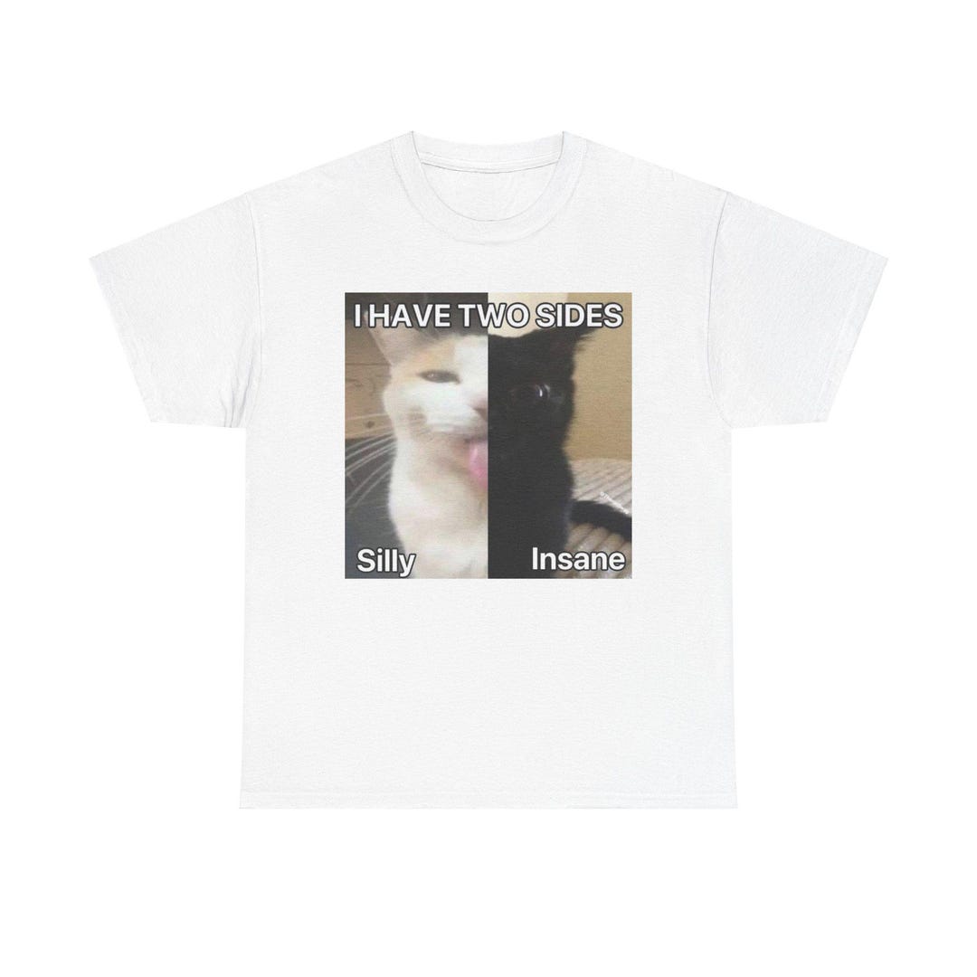 I Have Two Sides Silly and Insane Shirt, Funny Meme Shirt, Weird Shirts ...