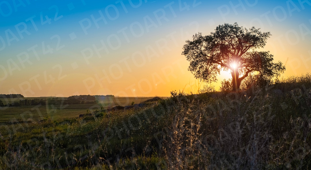 Lone Tree on Prairie Hill Sunset - Etsy