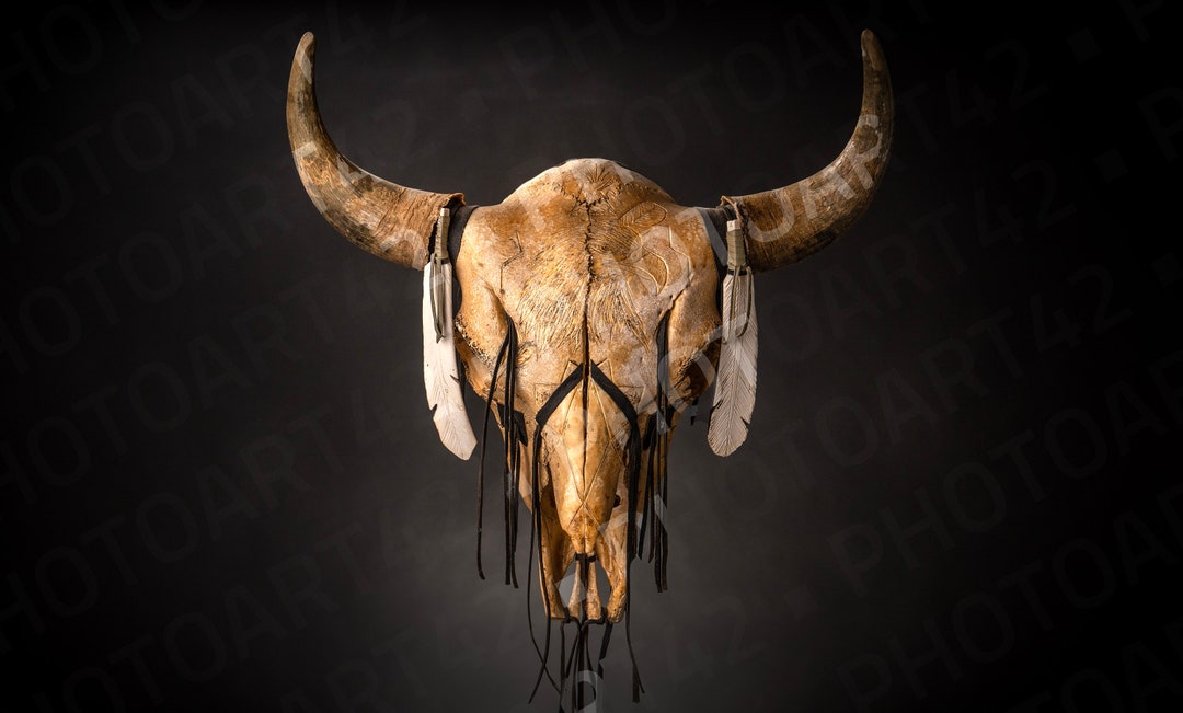Carved Buffalo Skull Artifact Photo - Etsy