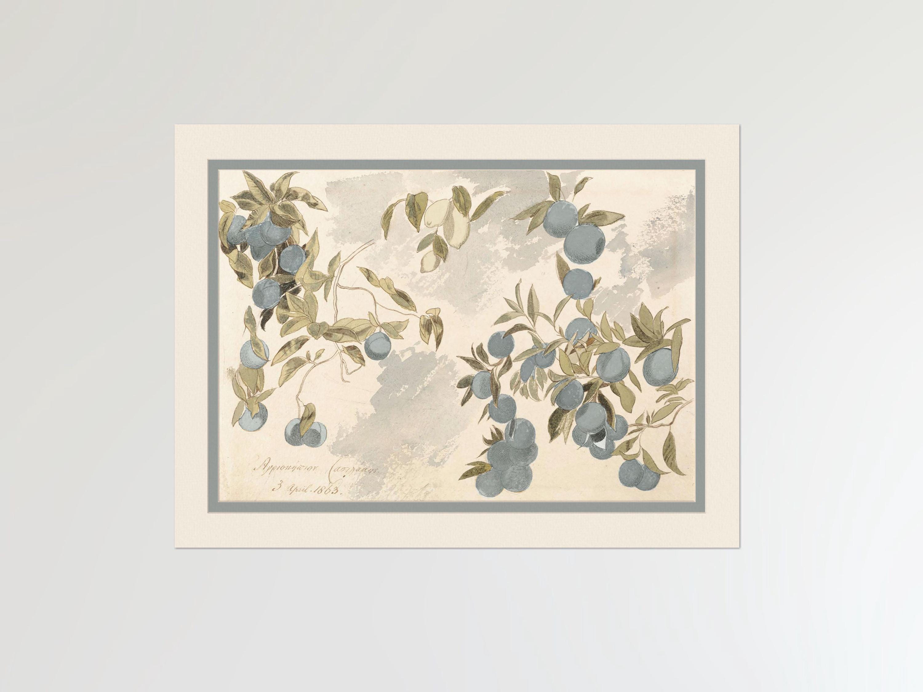 Vintage Blue Fruit Tree Wall Art, Mcgee & Co Dupe Botanical Print ...