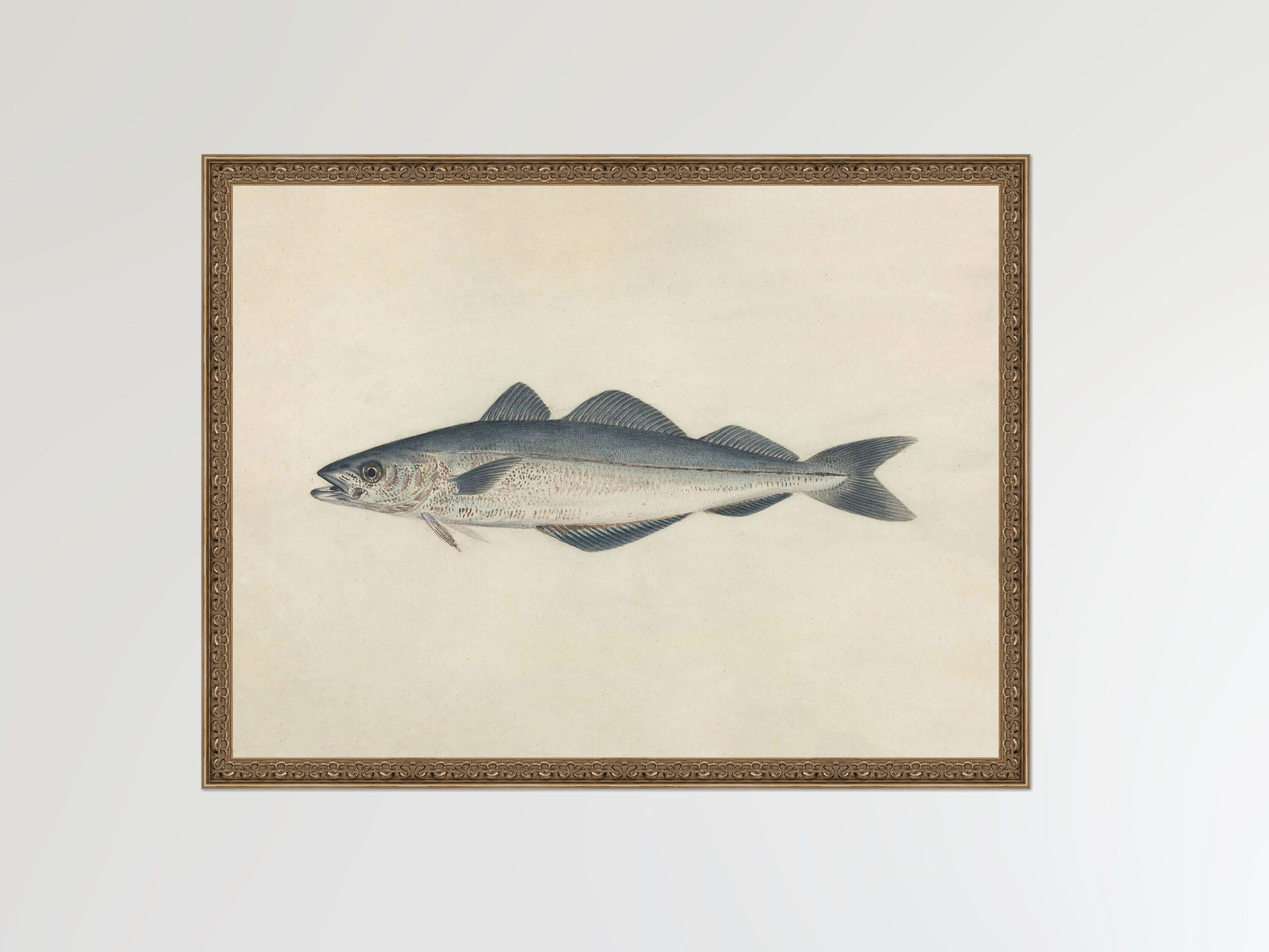 Vintage Fish Print, Fish Sketch, Drawing Printable, Artwork for Walls ...