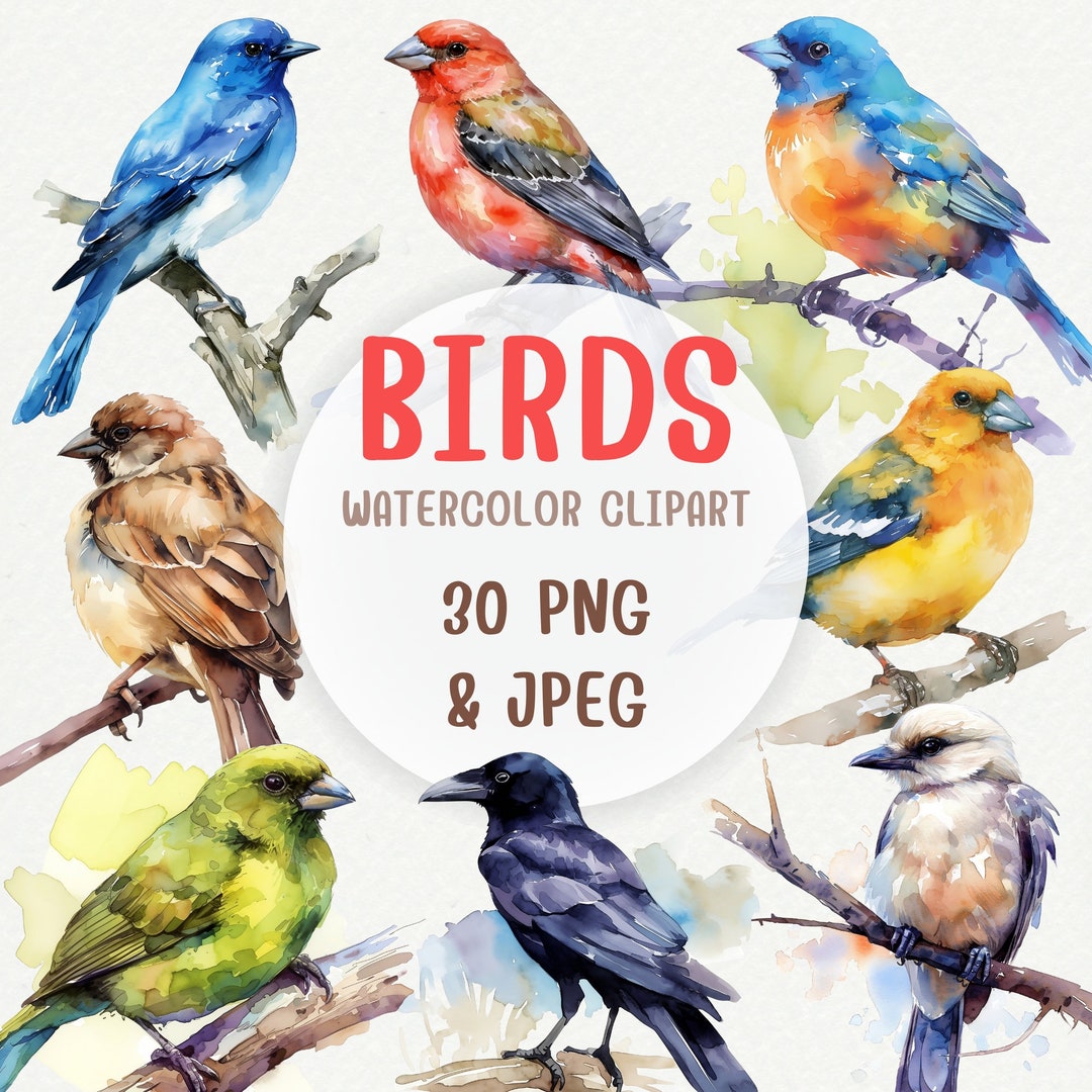 Watercolor Birds Clipart, Watercolor Vintage, Bird Png, Bird ...