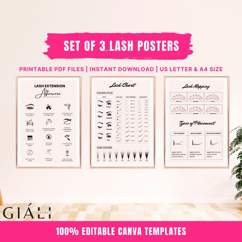 Beauty/lash/anatomy Poster - Etsy Canada