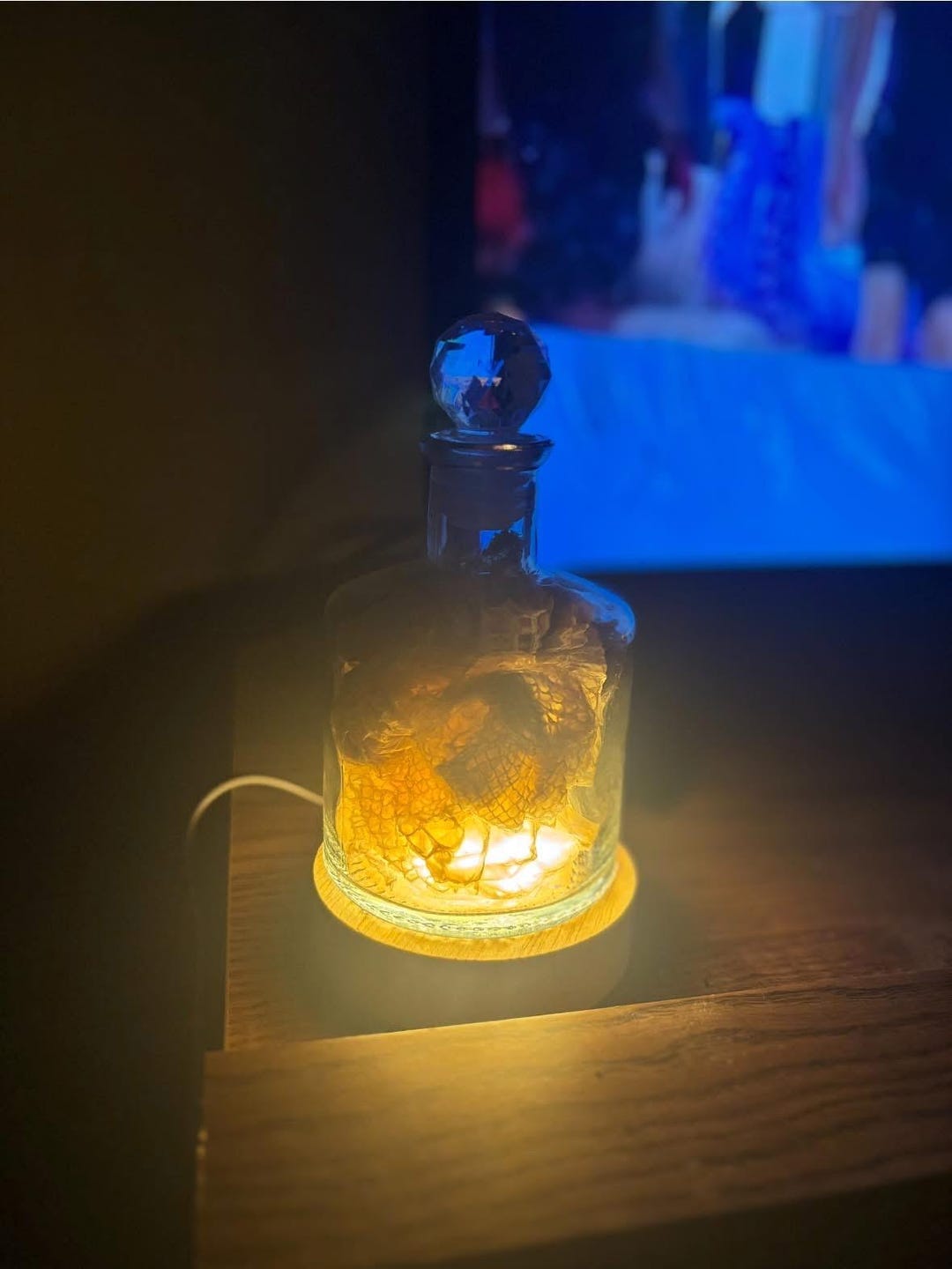 Snake Shed Bottle Lamp : Oddity and Curiosities Decor for Odd People - Etsy